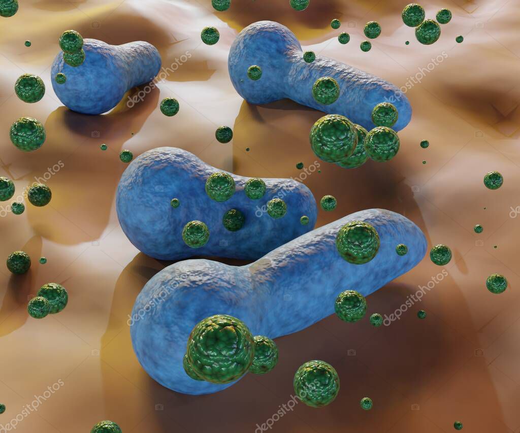 Clostridium es una bacteria en forma de barra que produce toxinas ...