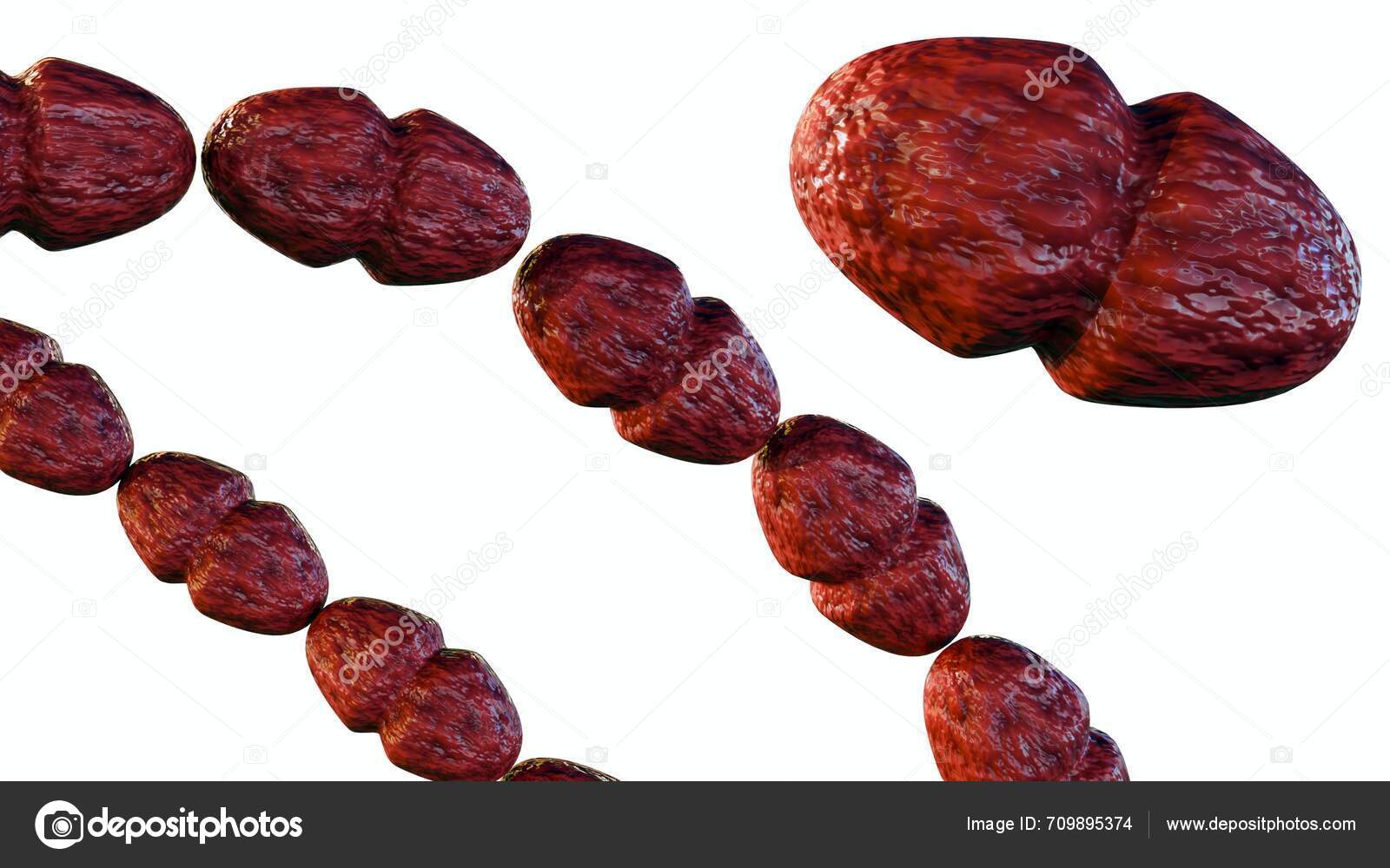 Rendering Vancomycin Resistant Enterococcus Vre Enterococcus Faecalis Type Bacteria Resistant