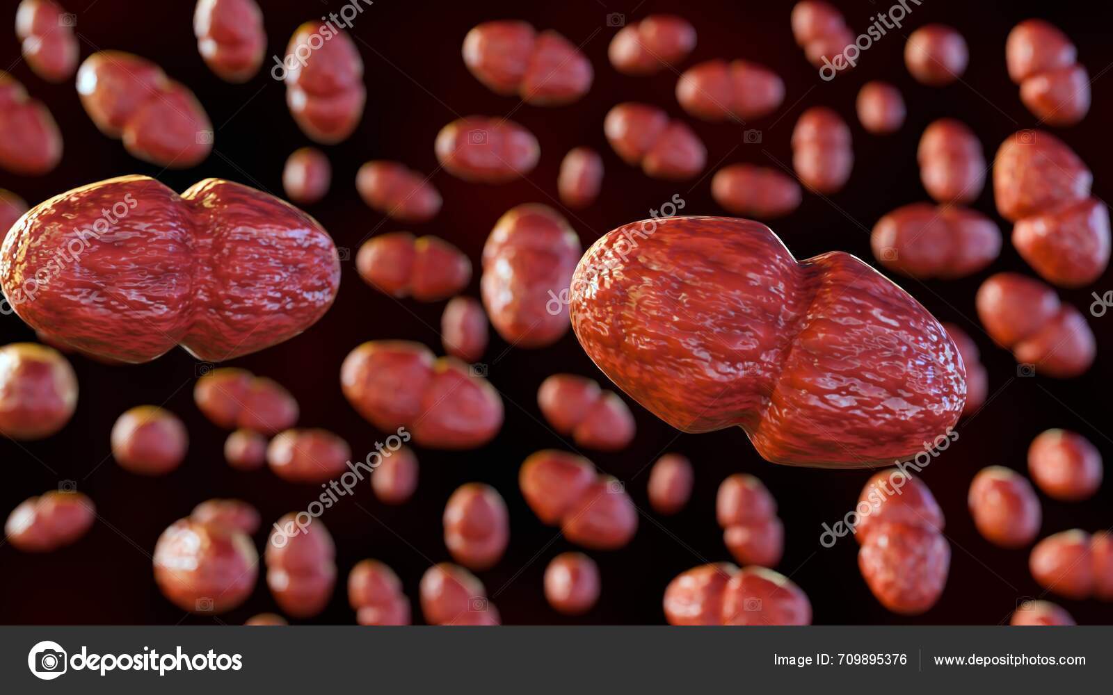 Rendering Vancomycin Resistant Enterococcus Vre Enterococcus Faecalis ...