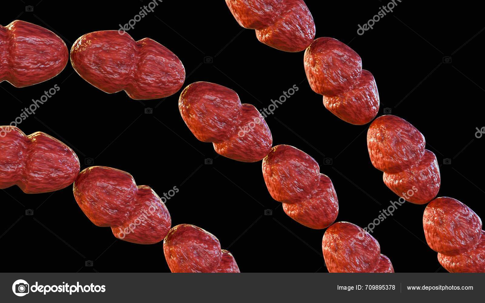 Rendering Vancomycin Resistant Enterococcus Vre Enterococcus Faecalis ...
