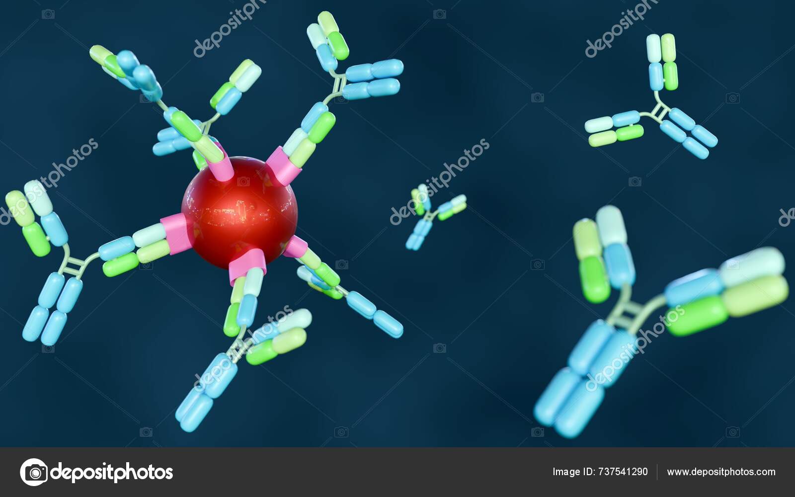 Rendering Antigen Antibody Complexes Also Known Immune Complexes ...