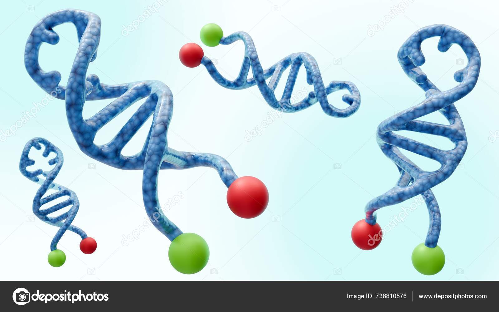 Rendering Molecular Beacons Dna Probes Designed Detect Specific Nucleic ... Rendering Molecular Beacons Dna Probes Designed Detect Specific Nucleic ...