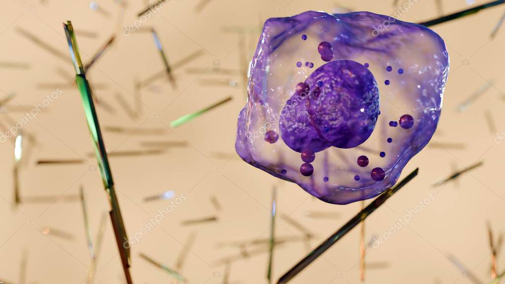 Una representación 3D de los glóbulos blancos envuelven los cristales ...