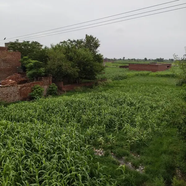 Village beerpur ta bhunda pin code allahabad district images libres de ...