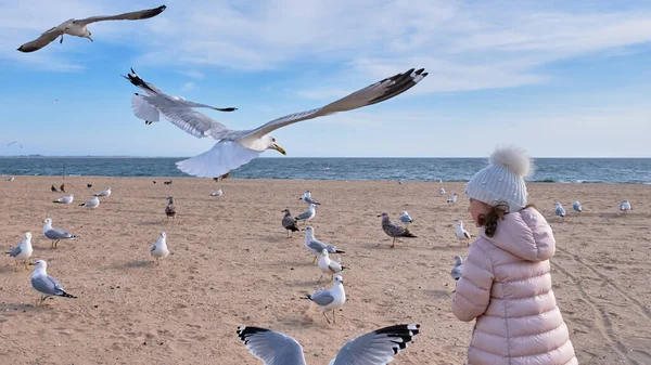Fotos de Asas de gaivotas, Imagens de Asas de gaivotas sem royalties ...