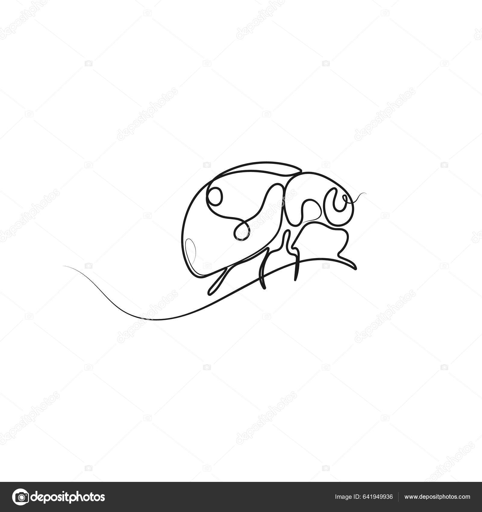 Ladybug One Line Art Drawing Style Spring Vector Illustration Stock ...