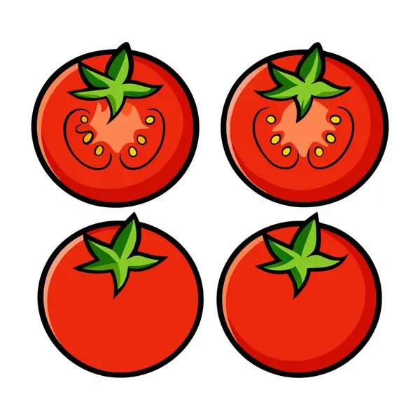 Desenho fases tomate Vector Images | Depositphotos
