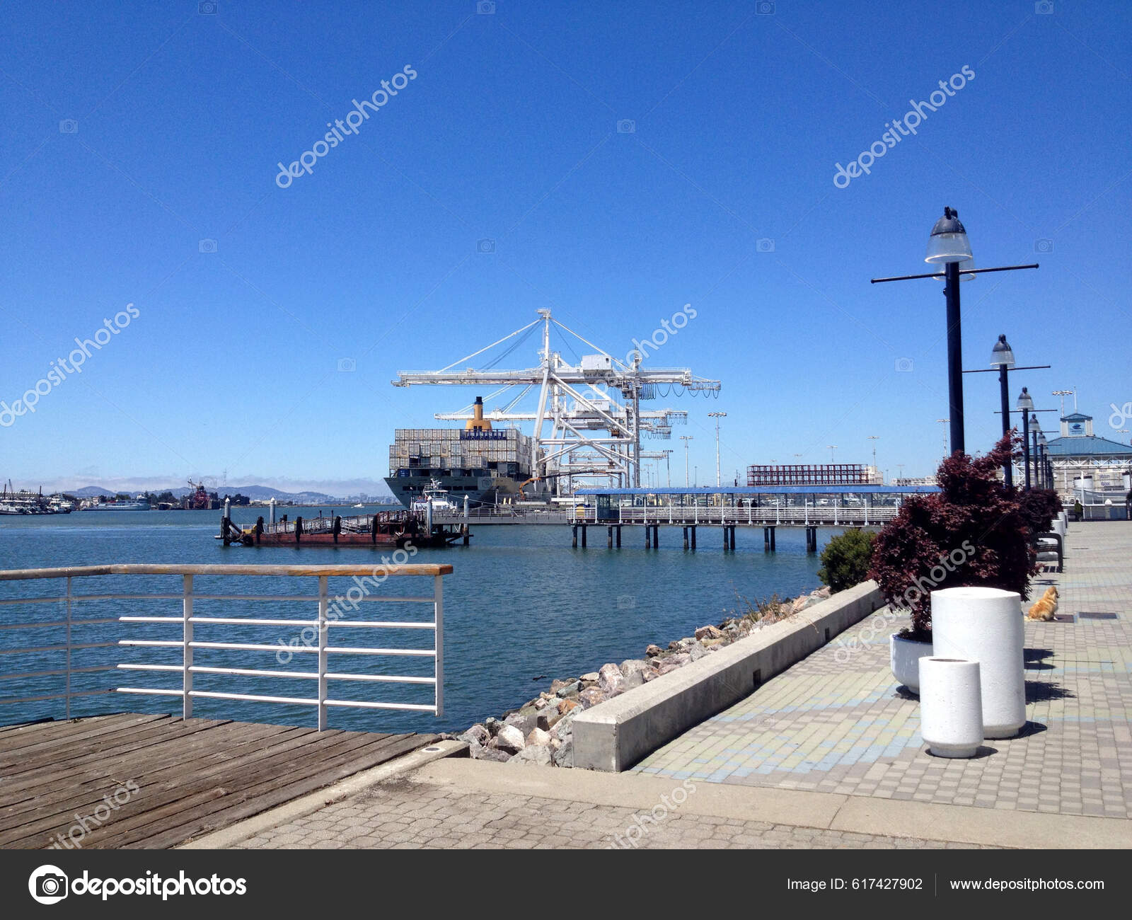 Large Container Freight Ship Loading Unloading Large White Cranes ...
