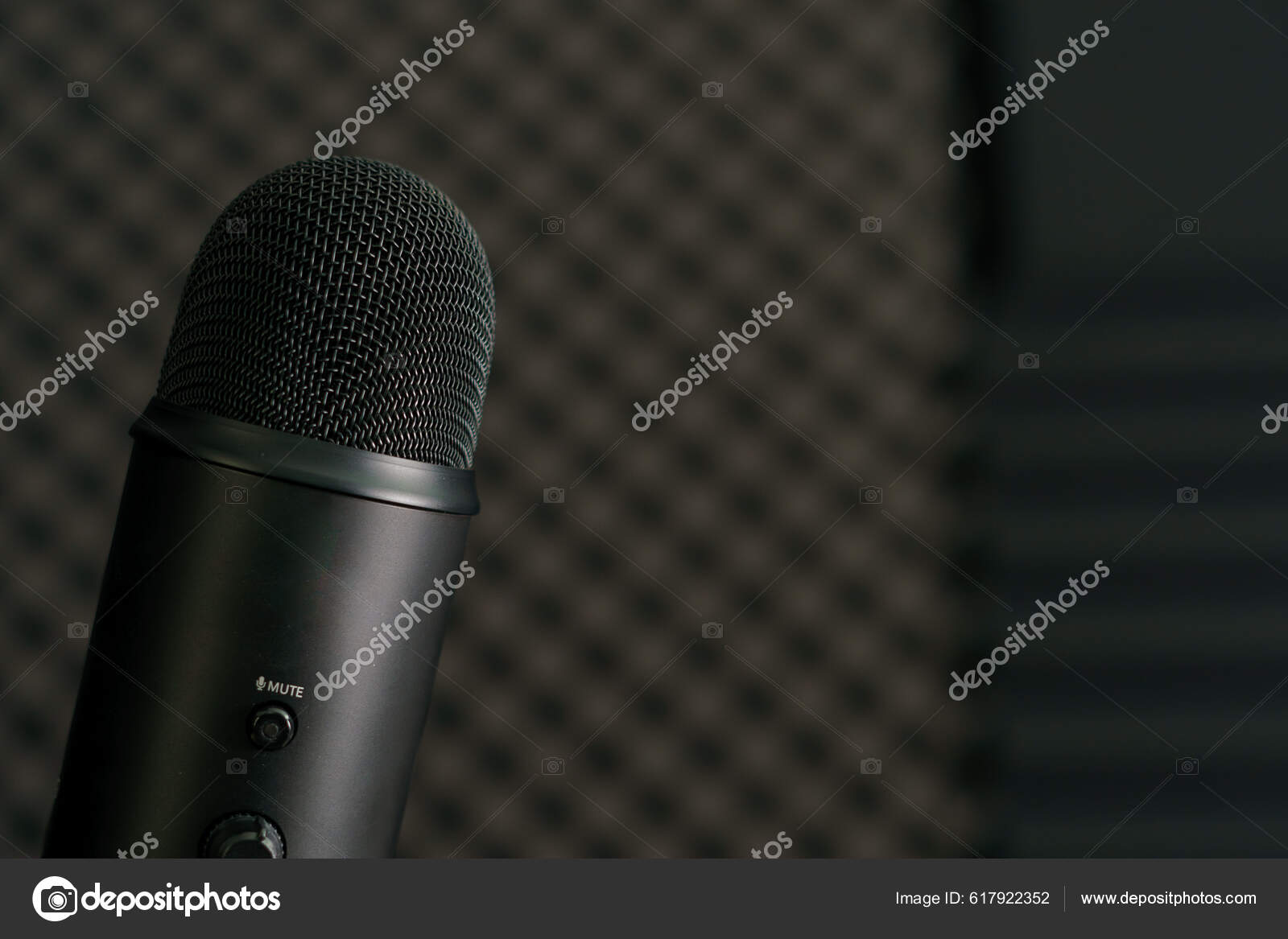 Close Professional Condenser Microphone Black Background — Stock Photo ...