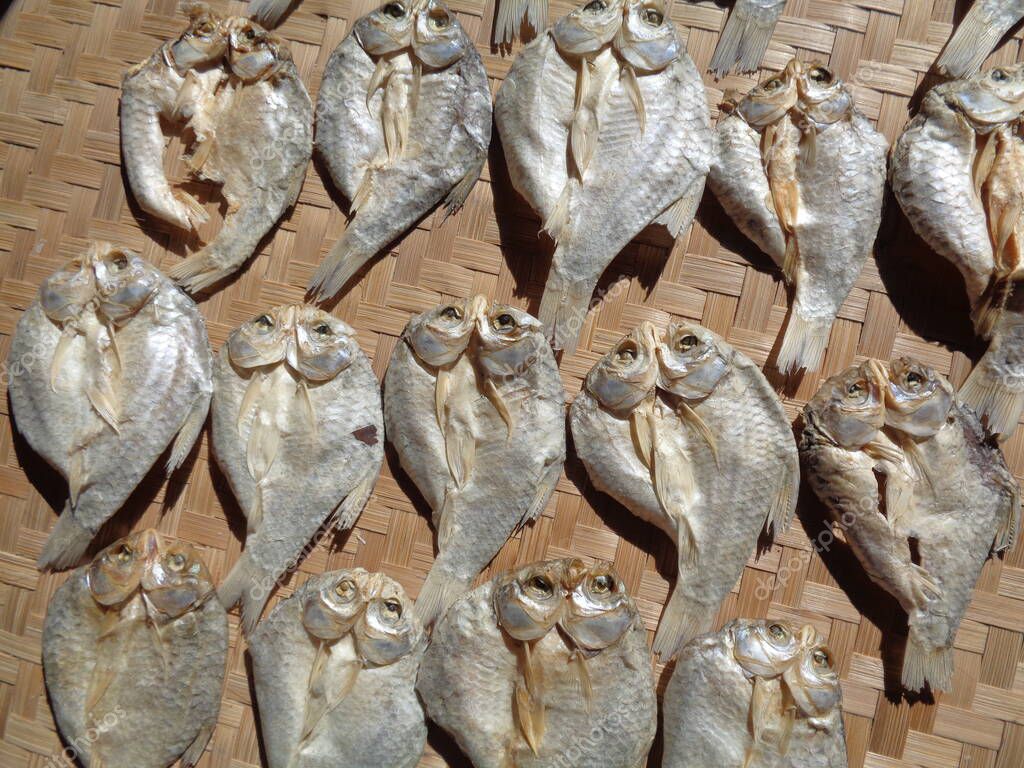 "Proceso de secado de pescado salado con un fondo natural. Pescado ...