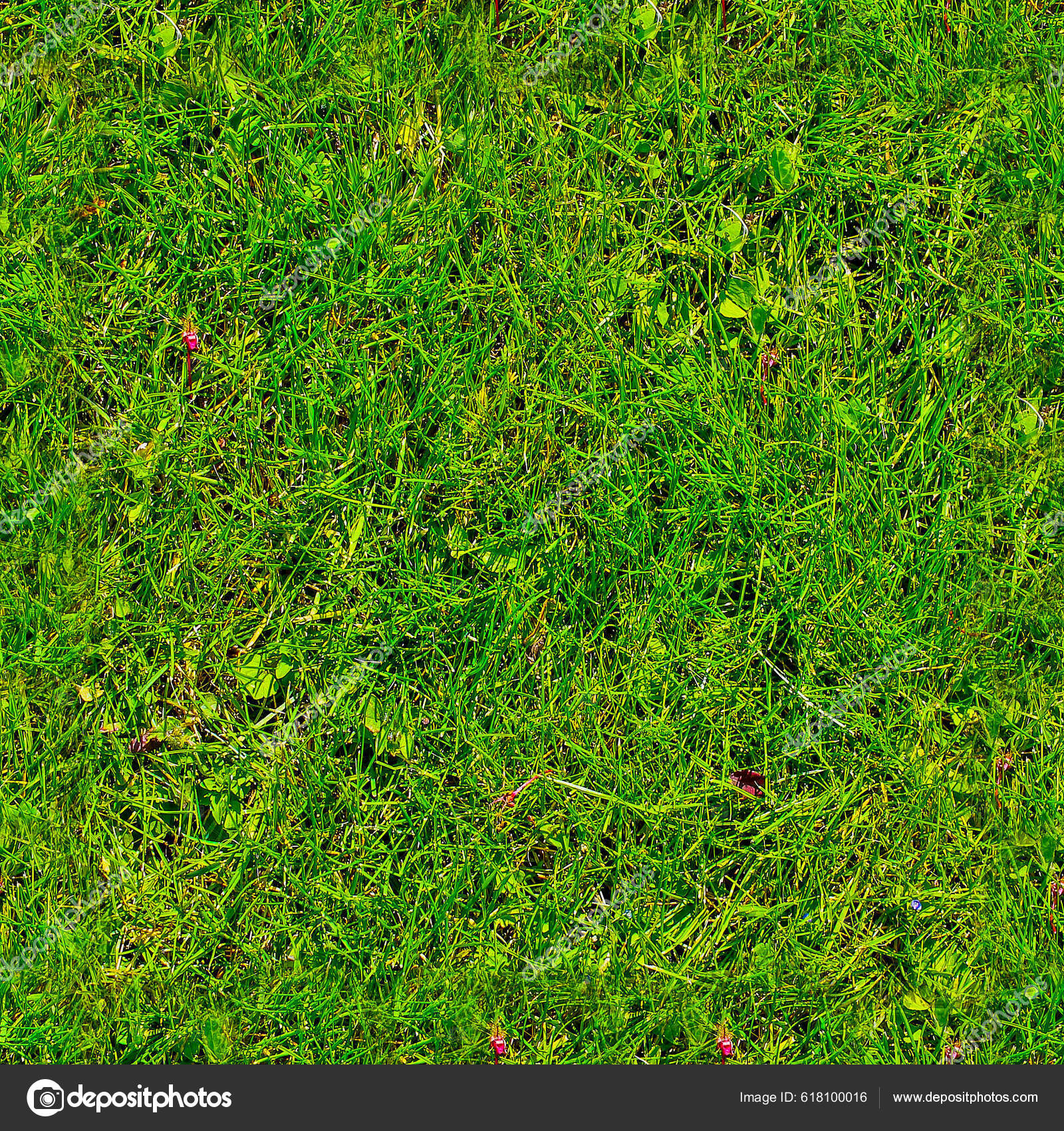 Textura Hierba Sin Costura Realista: fotografía de stock © YAY_Images ...