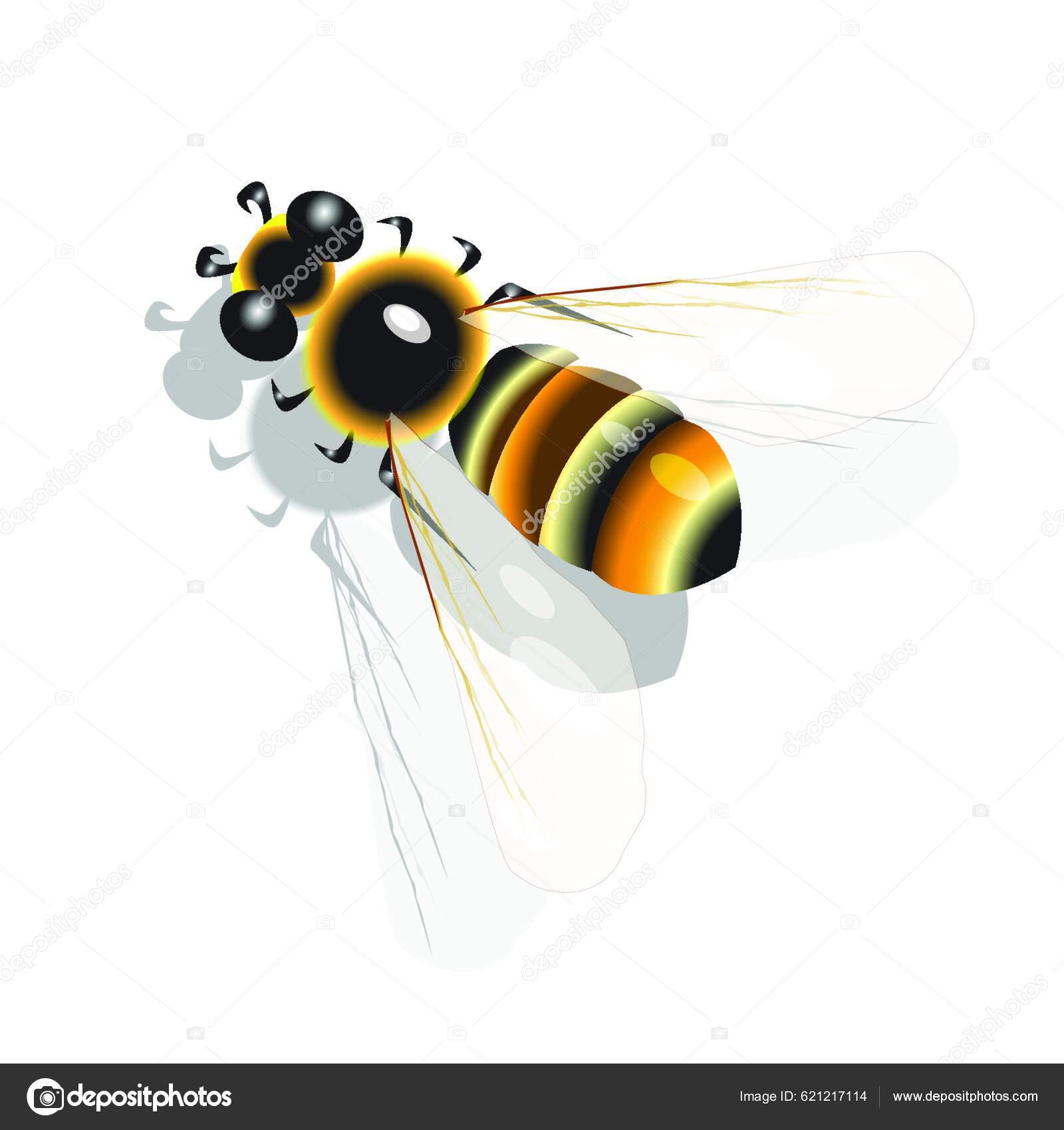 Bee Colorful Vector Illustration Stock Vector by ©YAY_Images 621217114