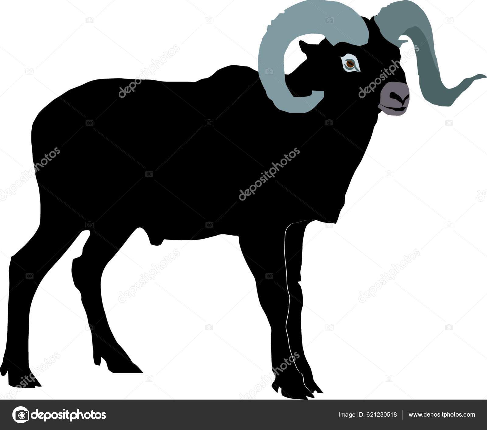 Mouflon Vector Illustration Simple Design Stock Vector by ©YAY_Images ...