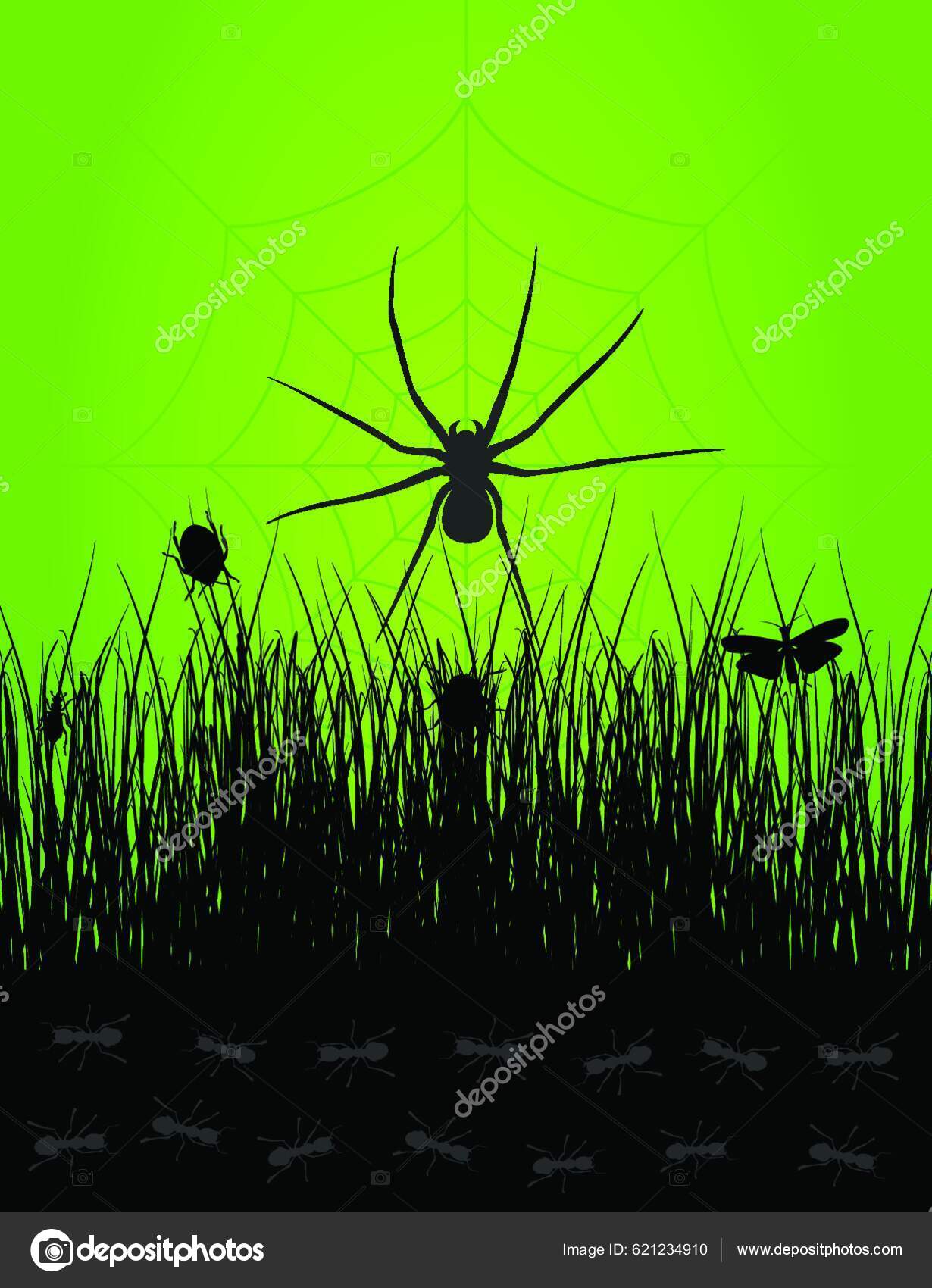 Spider Graphic Vector Background Stock Vector by ©YAY_Images 621234910