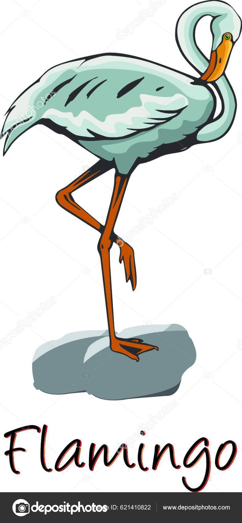 Flamingo Color Vector Illustration Stock Vector by ©YAY_Images 621410822