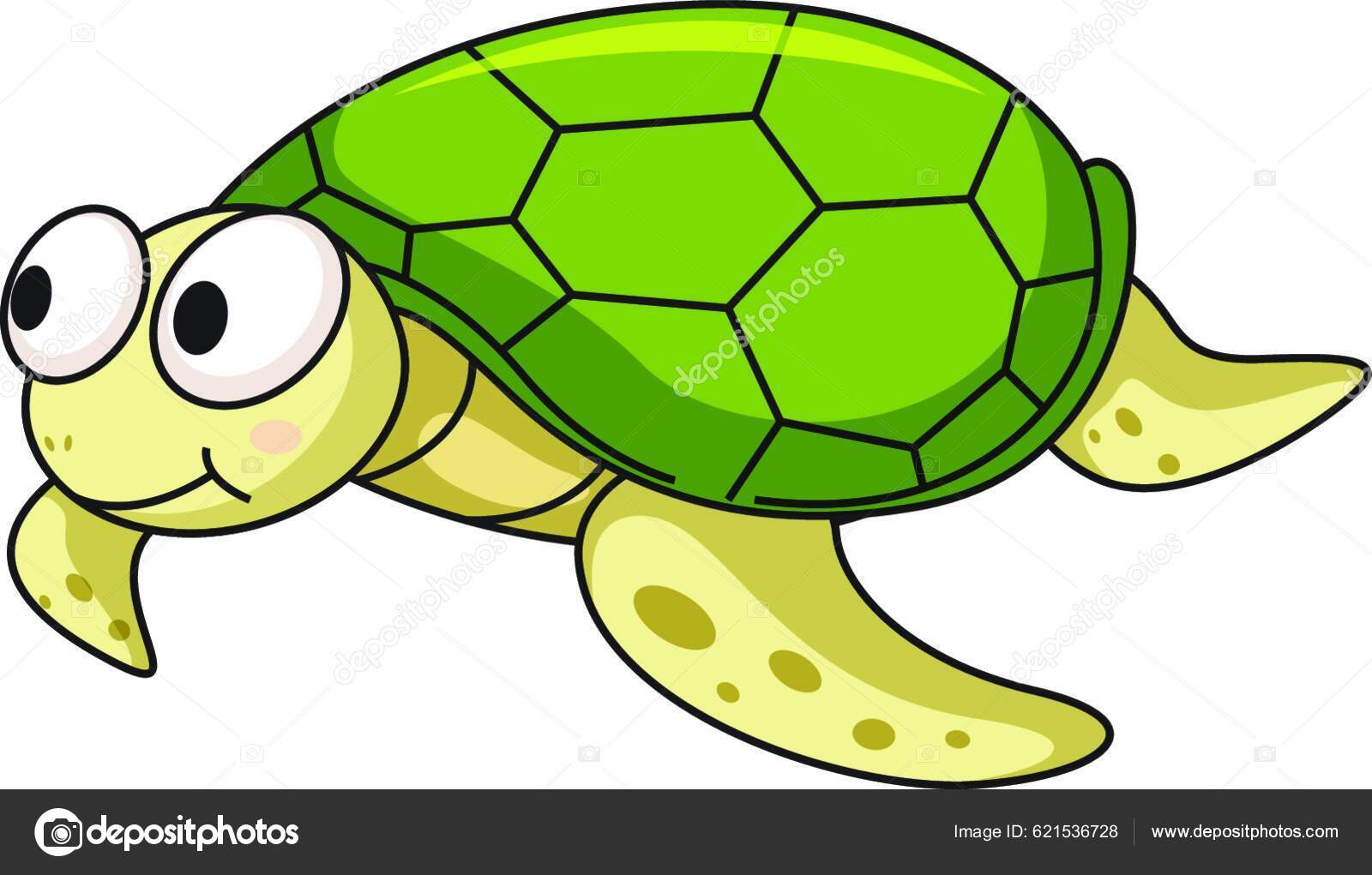 Turtle Animal Vector Illustration Stock Vector by ©YAY_Images 621536728