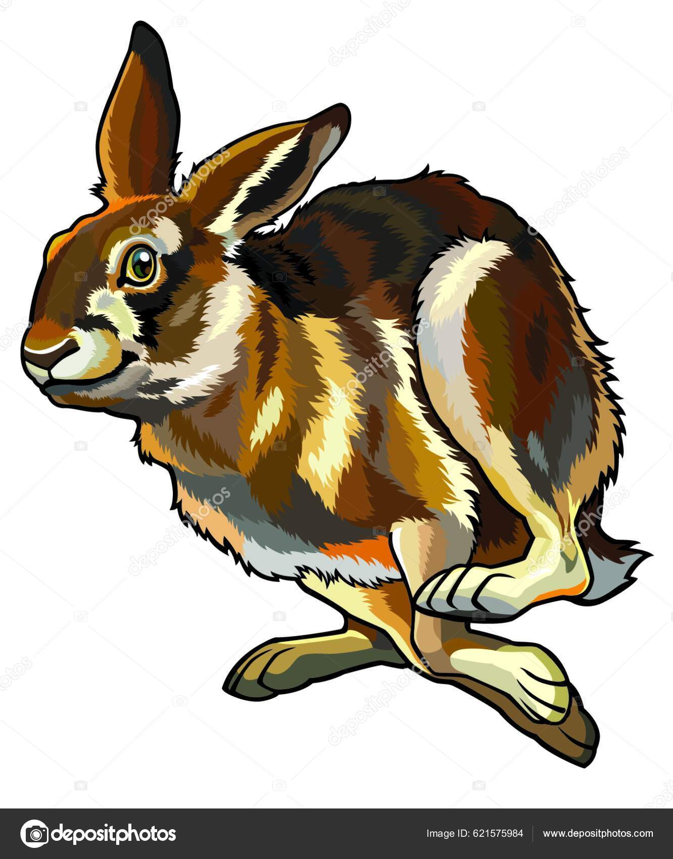 Running Hare Vector Illustration Vector de stock #621575984 de ©YAY_Images