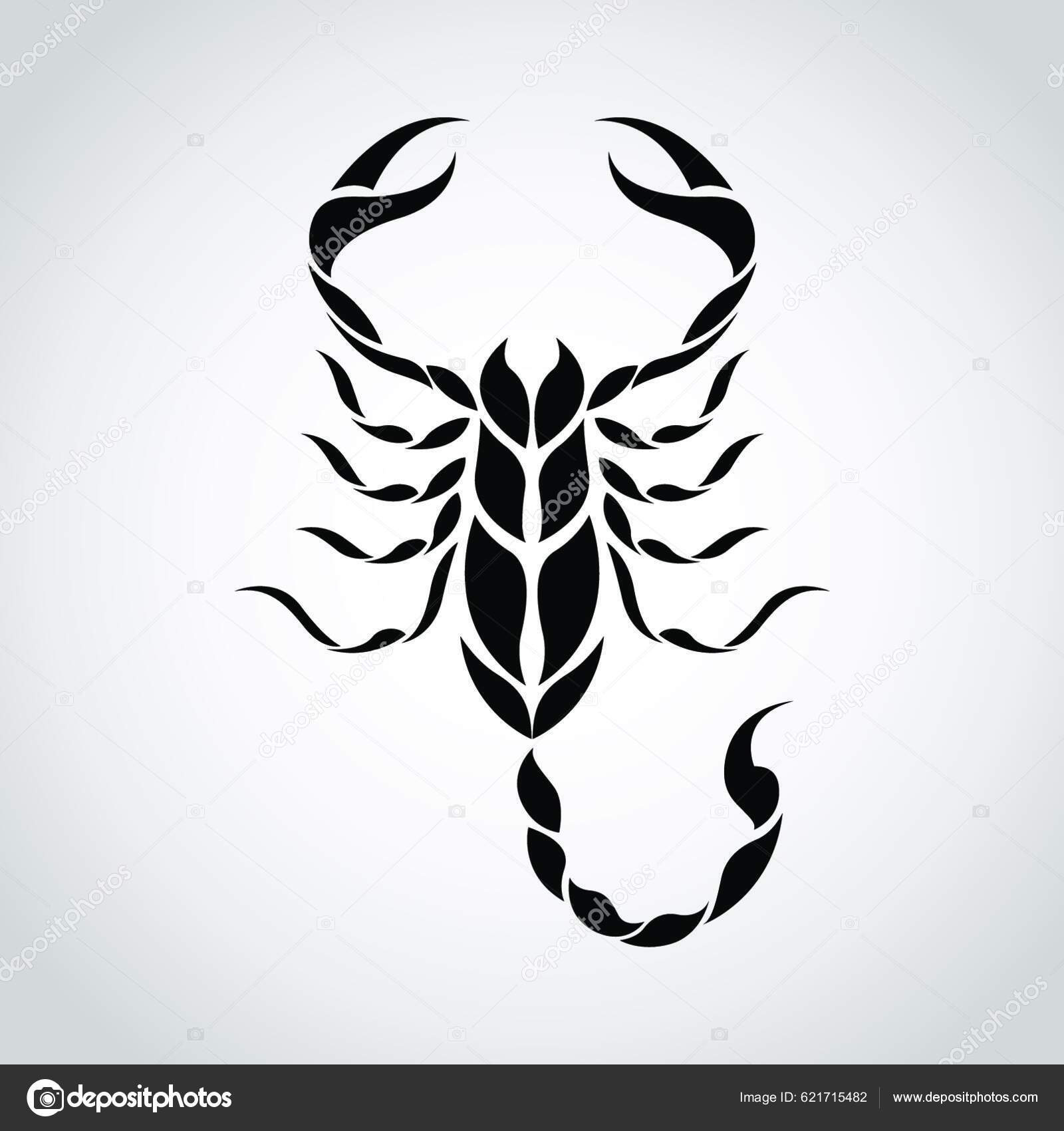 Scorpio Zodiac Animal Sign Design Graphic Stock Vector Image by ©YAY ...