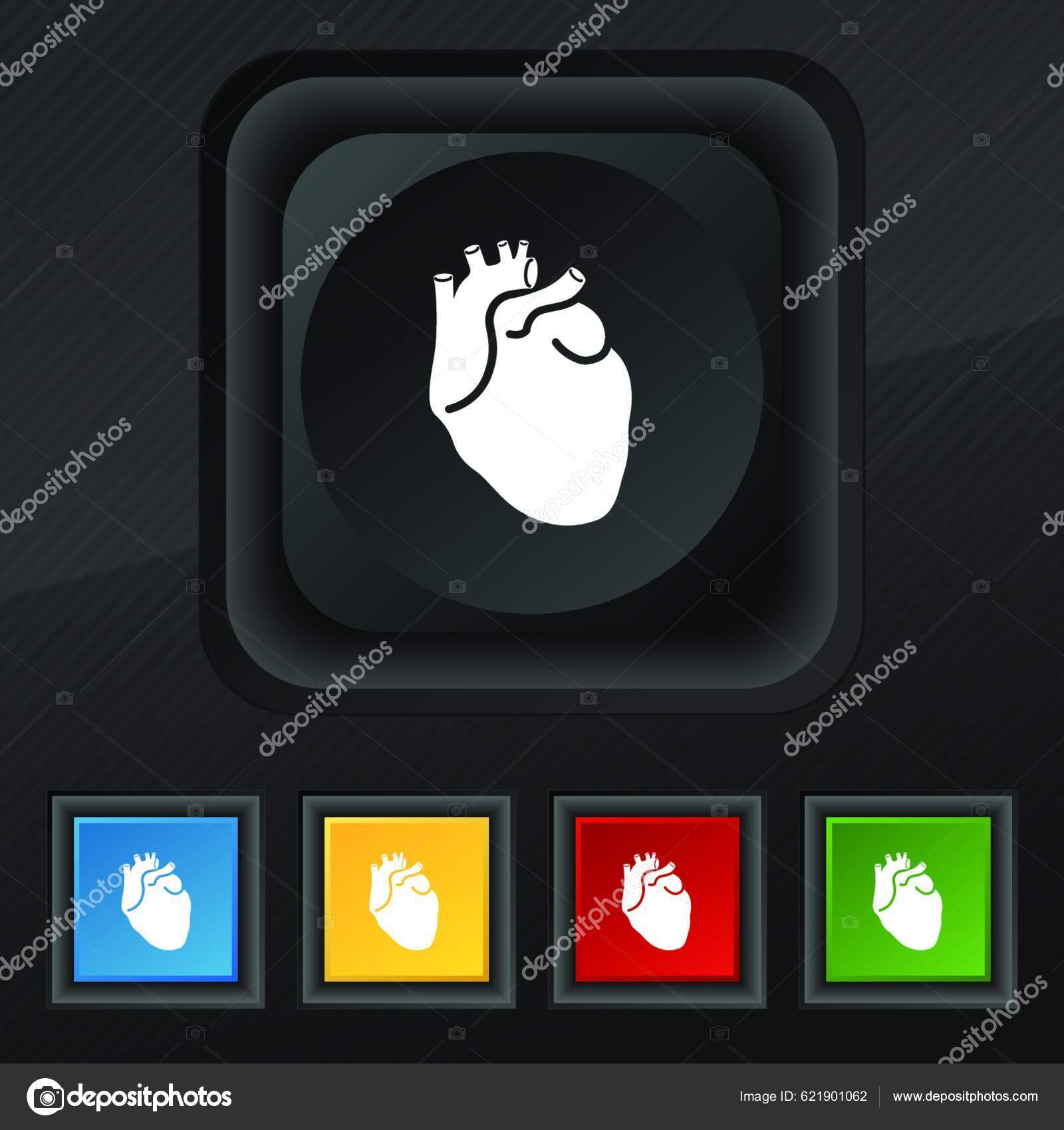 Human Heart Icon Symbol Set Five Colorful Stylish Buttons Black Stock ...