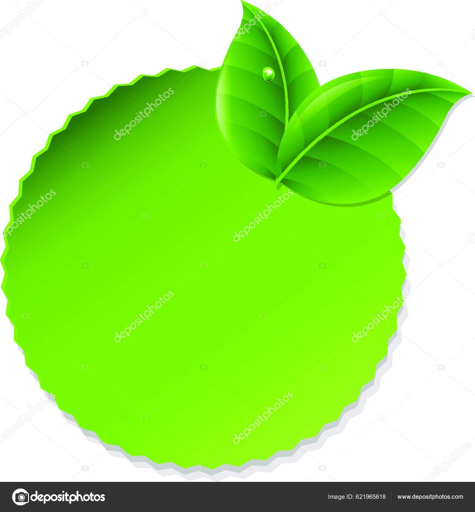 Green Leaves Label Stock Vector by ©YAY_Images 621965618