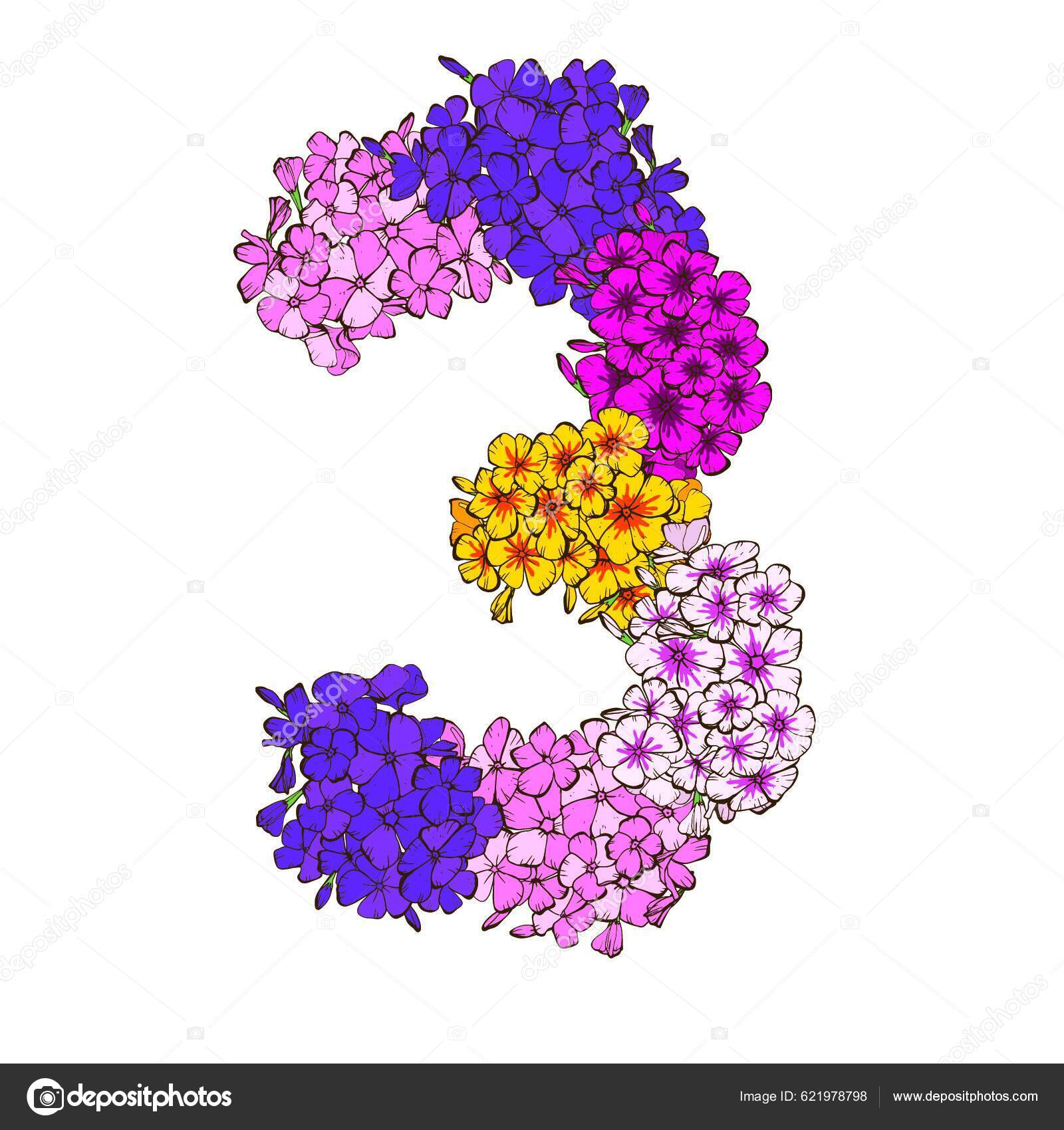Three Digit Made Multicolored Phlox Flowers Floral Element Colorful ...