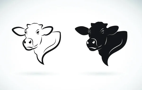 Vektor Gambar Sapi Pada Latar Belakang Putih Vektor Stok oleh ©YAY ...