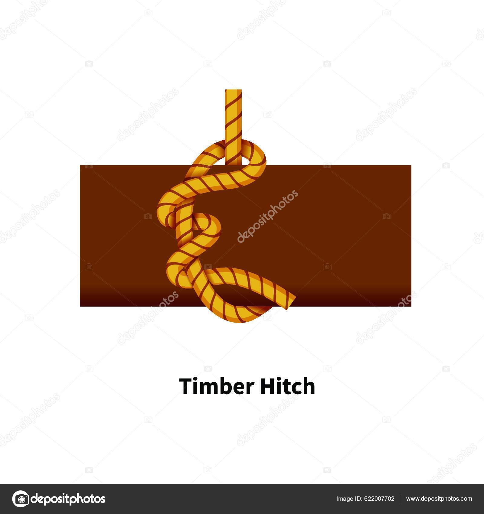 Timber Hitch Sea Knot Bright Colorful How Guide White Stock Vector by ...