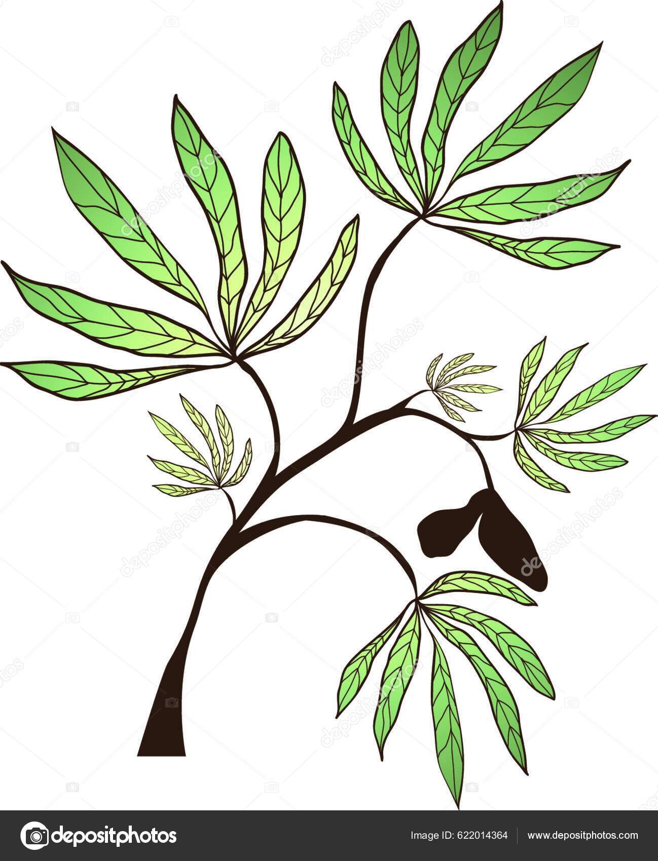 Kapok Tree Branch Vector Illustration Stock Vector by ©YAY_Images 622014364