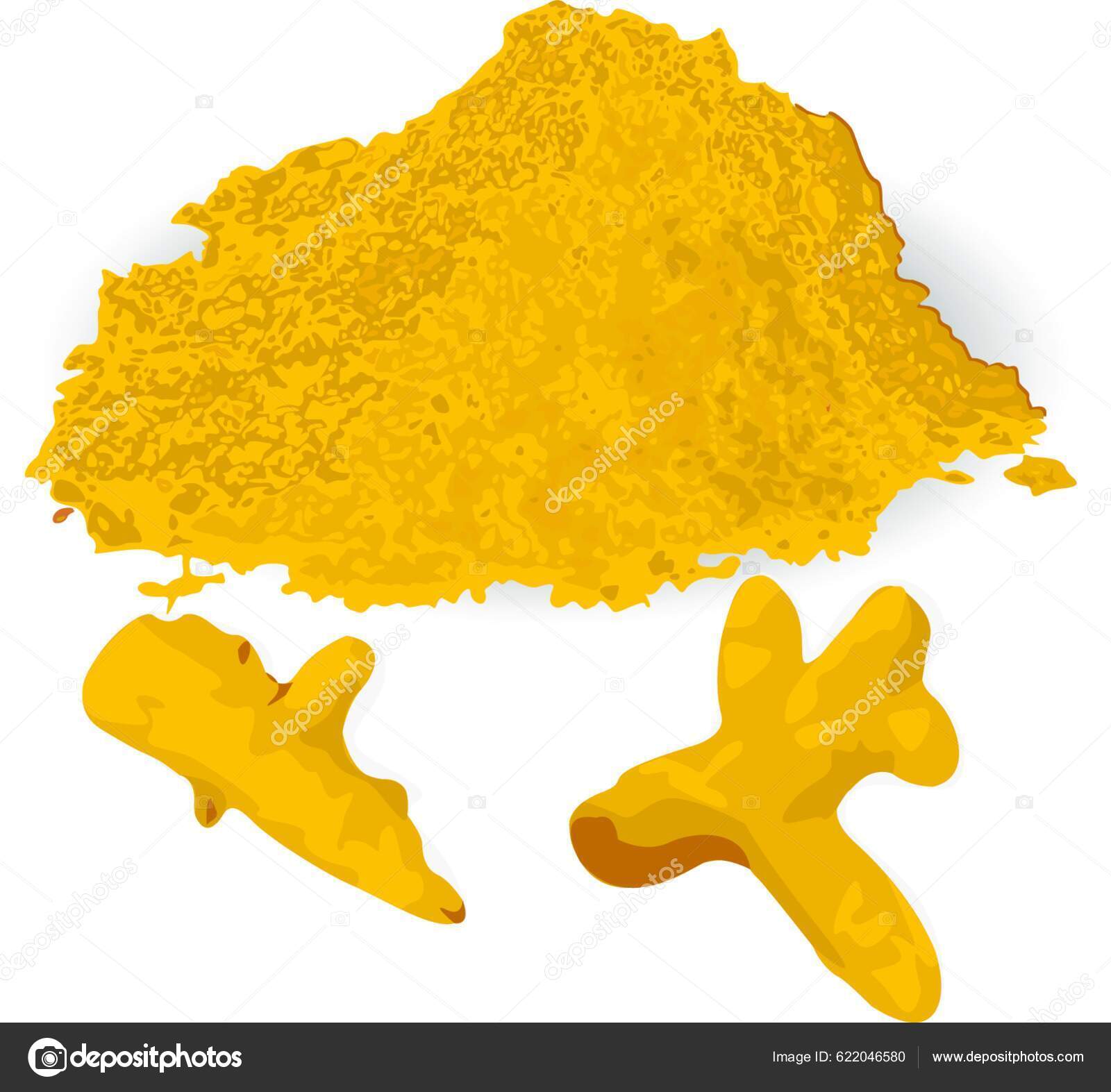 Turmeric Roots Powder Vector Illustration Stock Vector by ©YAY_Images ...