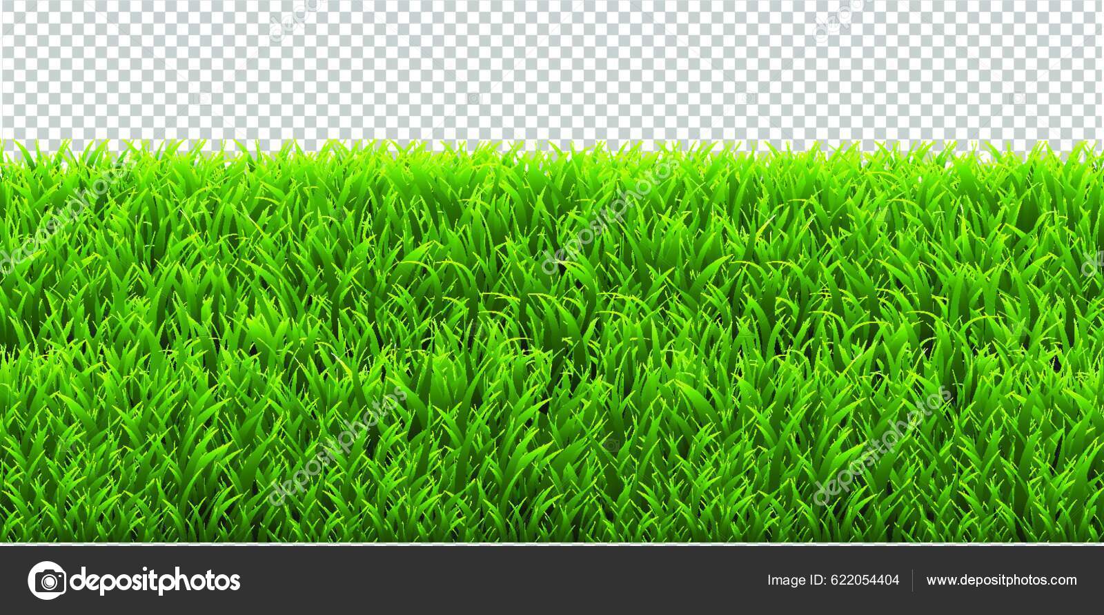 Green Grass Frame Transparent Background Stock Vector by ©YAY_Images ...