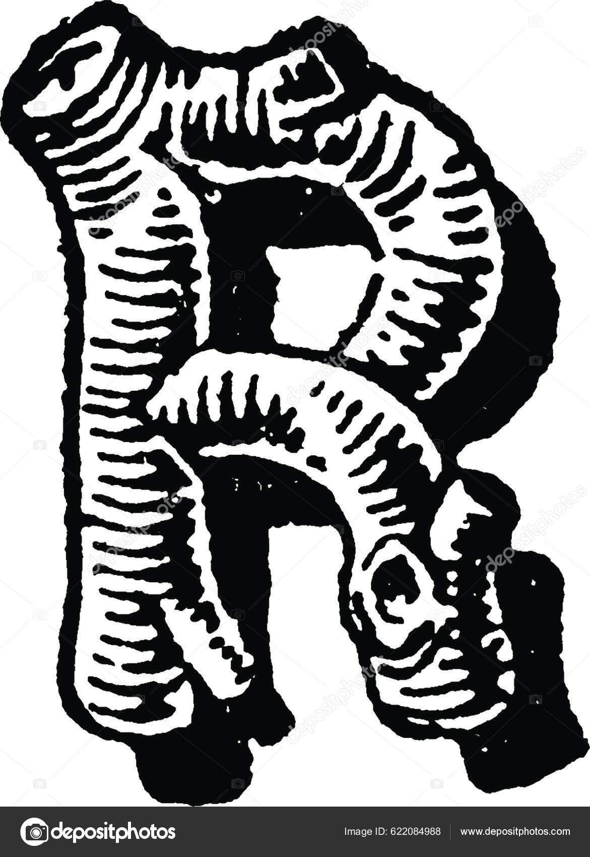 Letter Vintage Illustration Vector de stock por ©YAY_Images 622084988