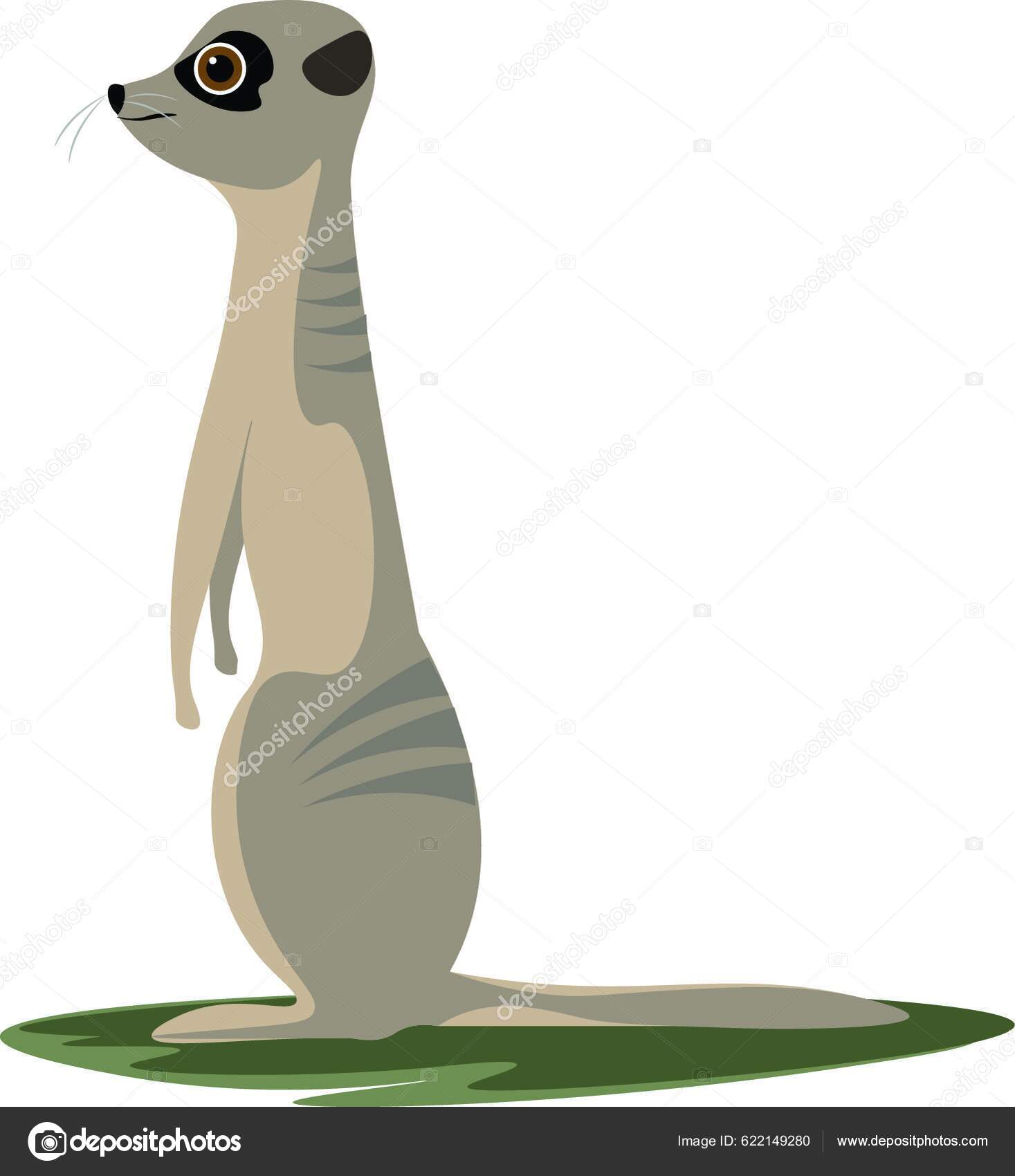 Standing Meerkat Vector Color Illustration Stock Vector by ©YAY_Images ...