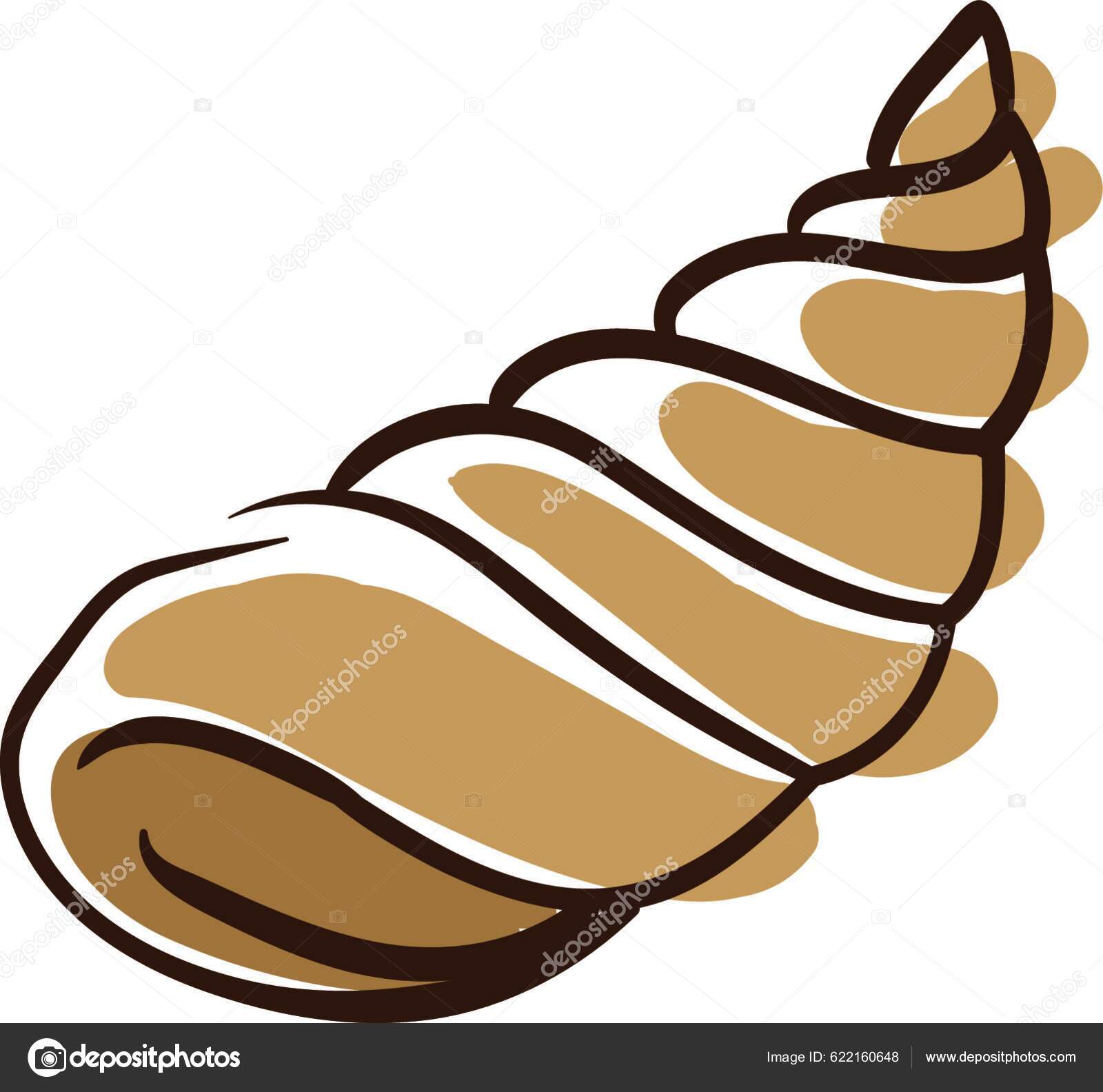 Shell Drawing Illustration Vector White Background Stock Vector by ©YAY ...