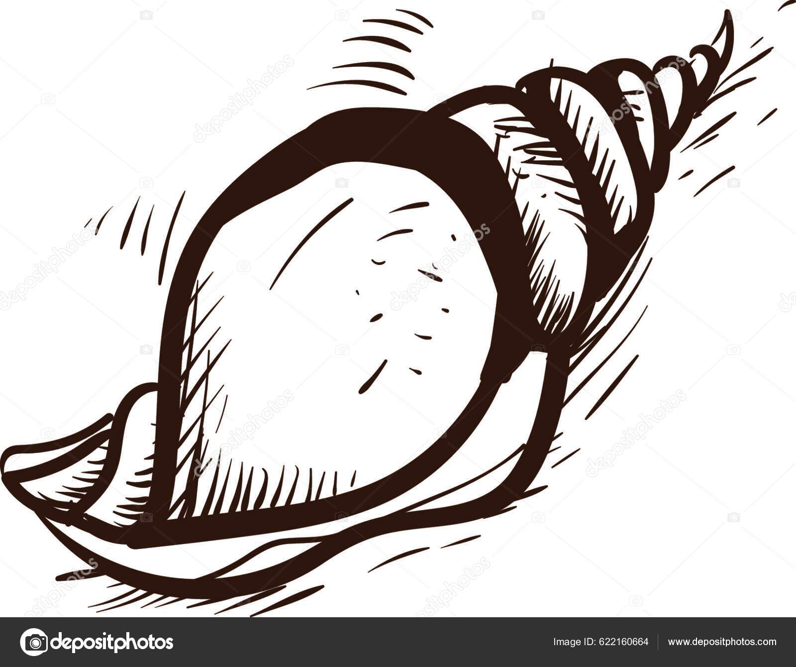Bosquejo Concha Ilustración Vector Sobre Fondo Blanco Vector de stock ...