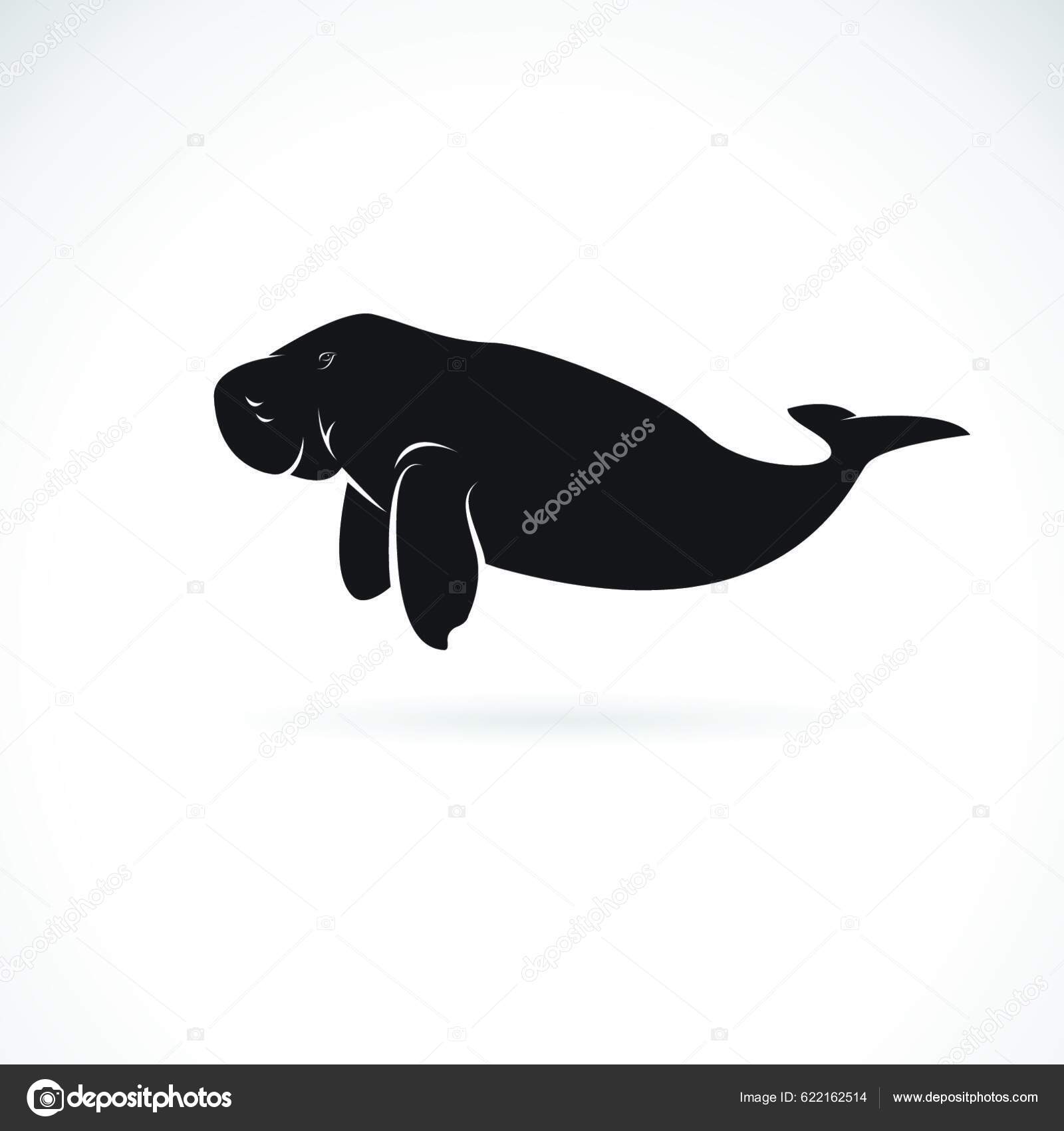 Vector Dugong Design White Background Wild Animals Easy Stock ...