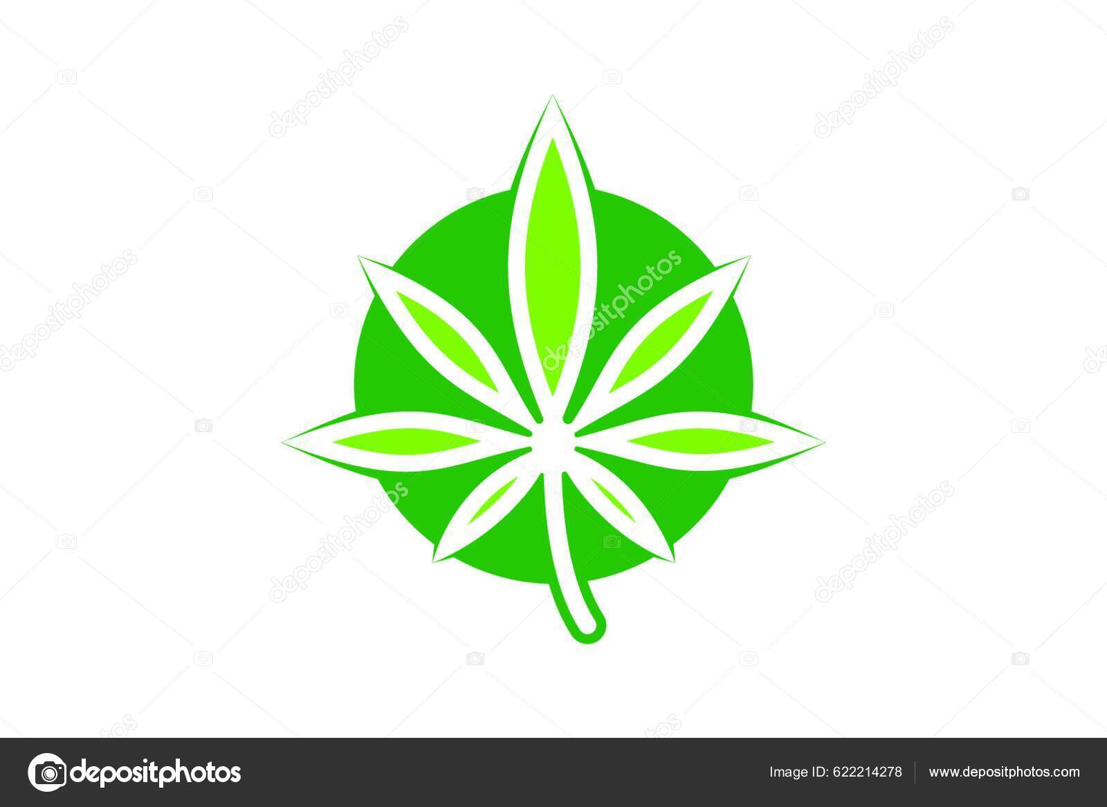 Marijuana Leaf Medical Cannabis Hemp Oil Cannabis Marijuana Leaf Logo Stock Vector by ©YAY ...