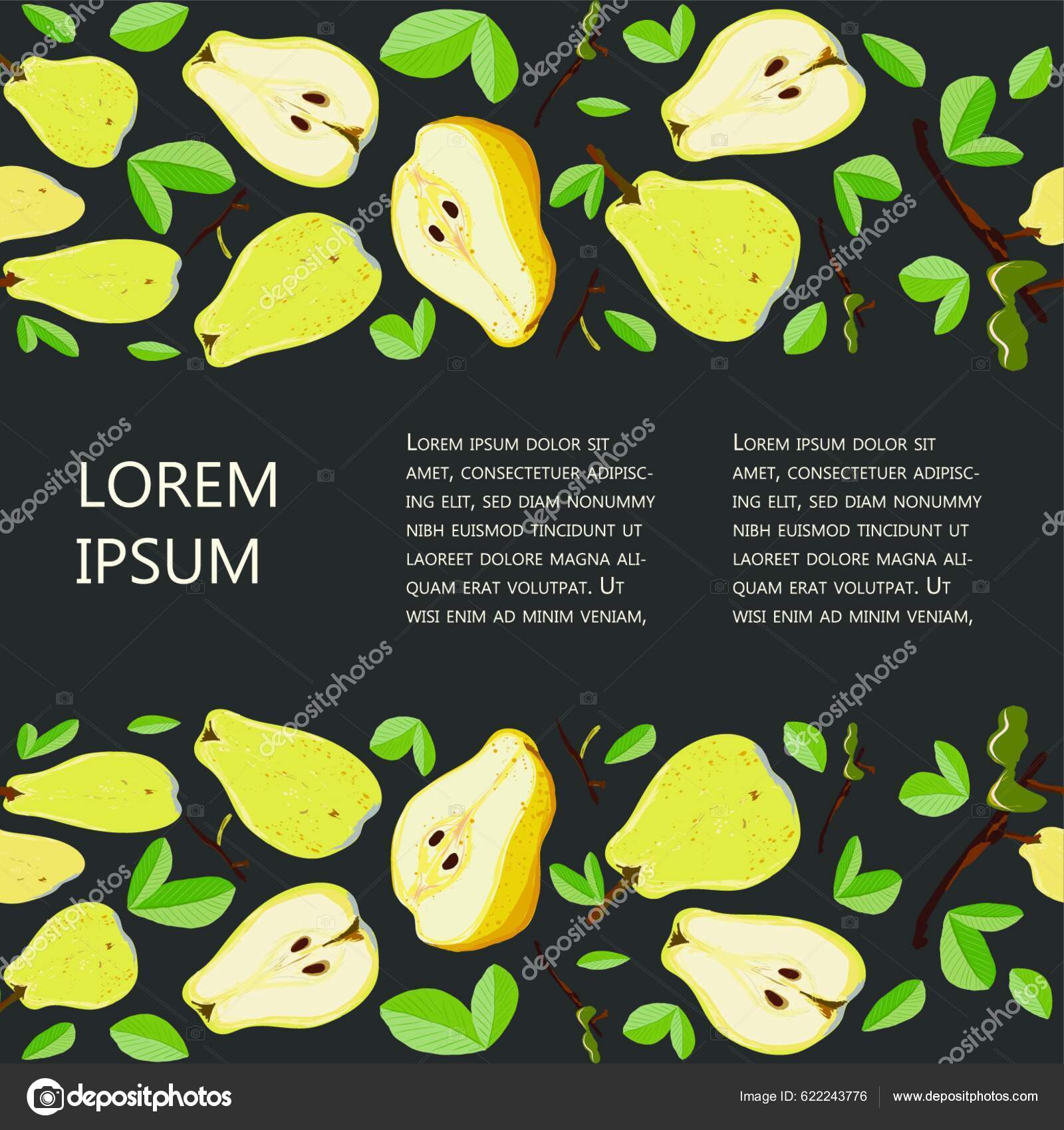 Whole Sliced Pear Seamless Horizontal Border Copy Space Vector ...