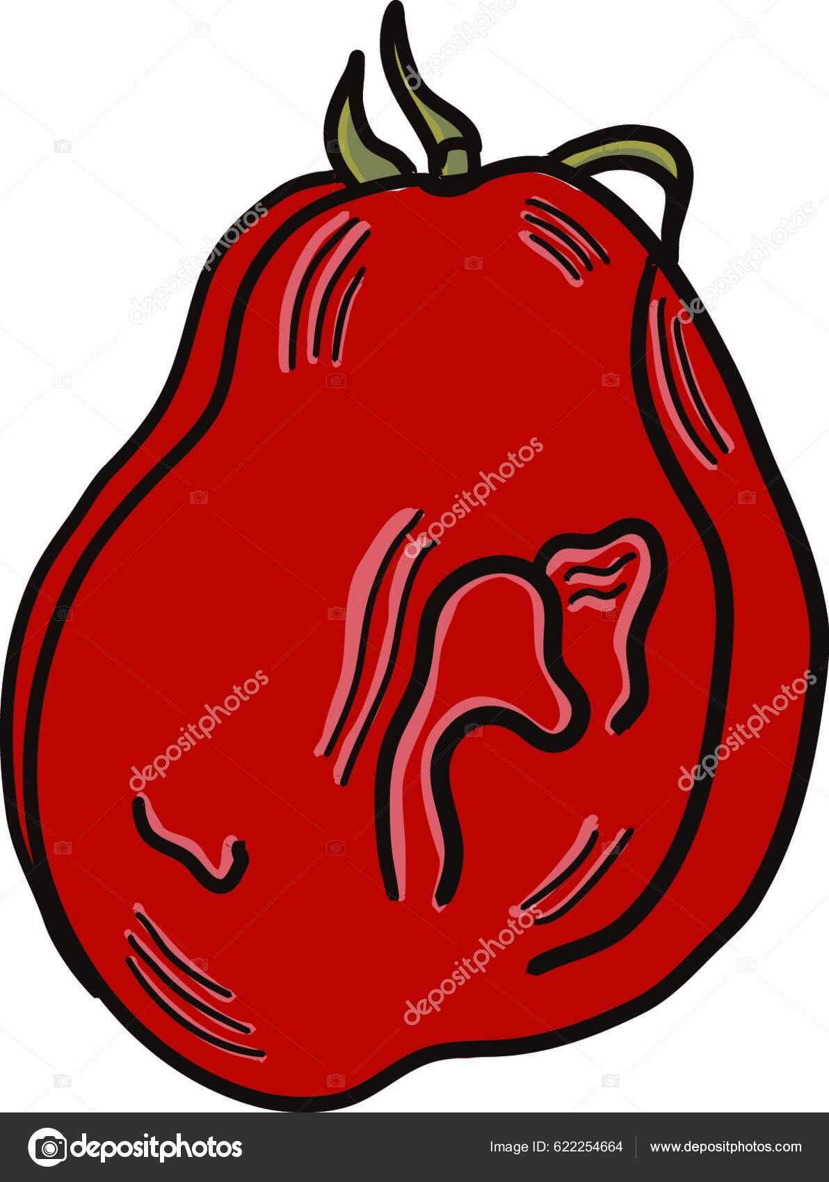 Tomate Podrido Ilustración Vector Sobre Fondo Blanco Vector de stock ...