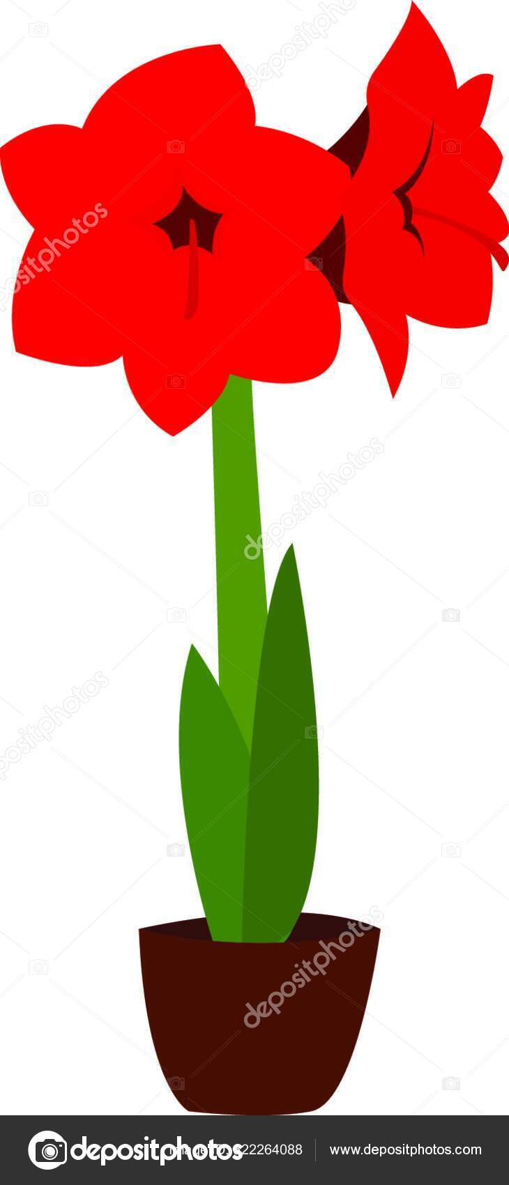 Red Flower Illustration Vector White Background Stock Vector by ©YAY ...