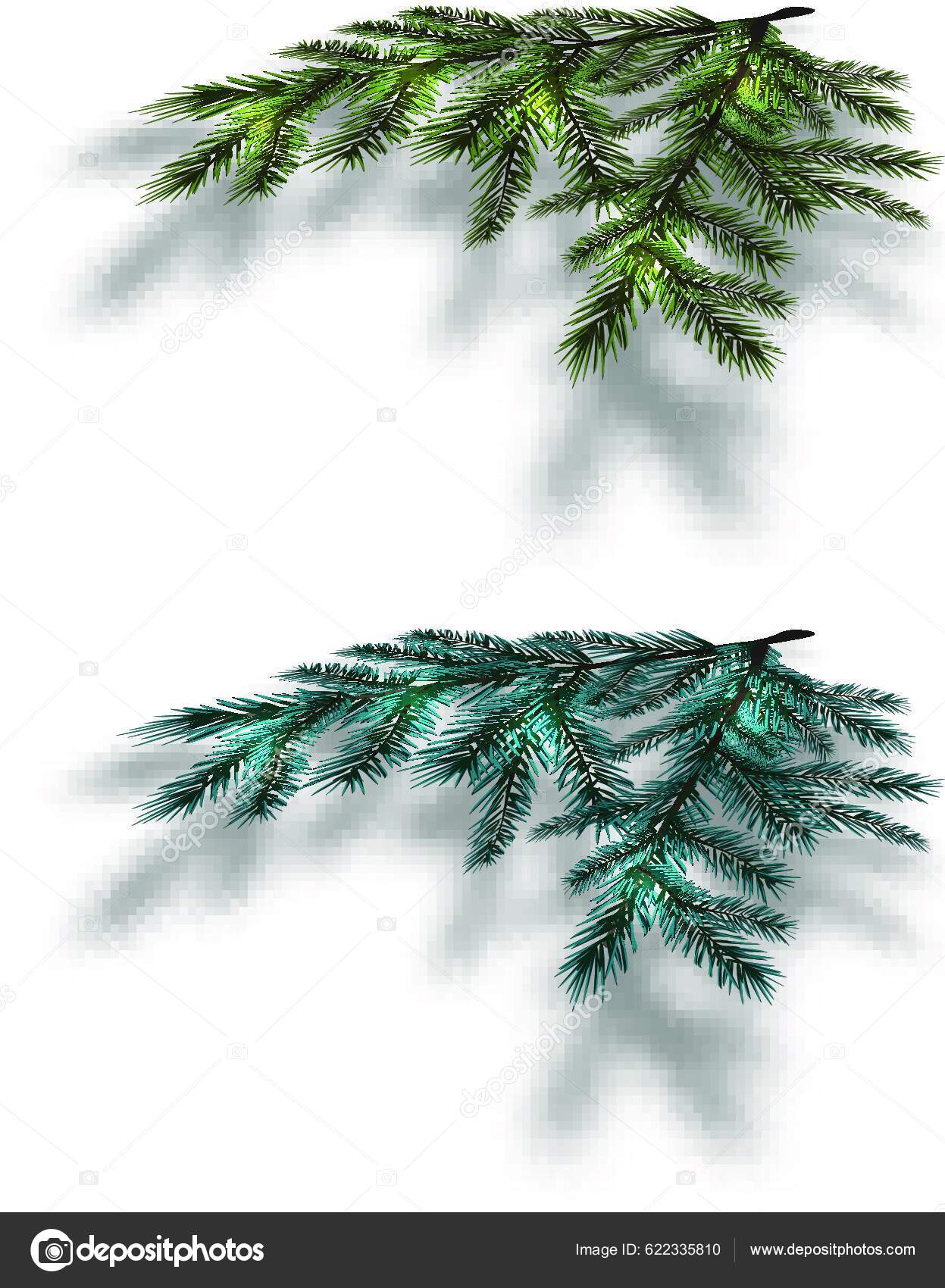 Blue Green Christmas Tree Branches Isolated White Background Shadow Perspective Stock Vector by ...