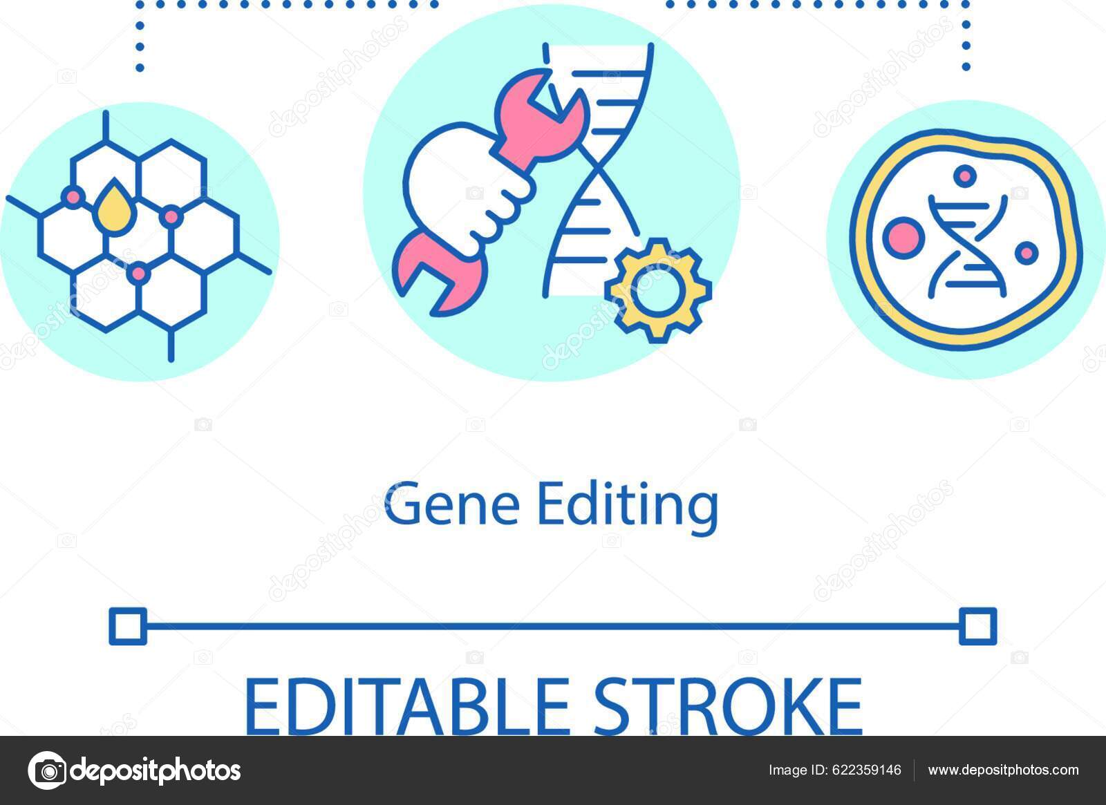 Gene Editing Concept Icon Vector de stock #622359146 de ©YAY_Images