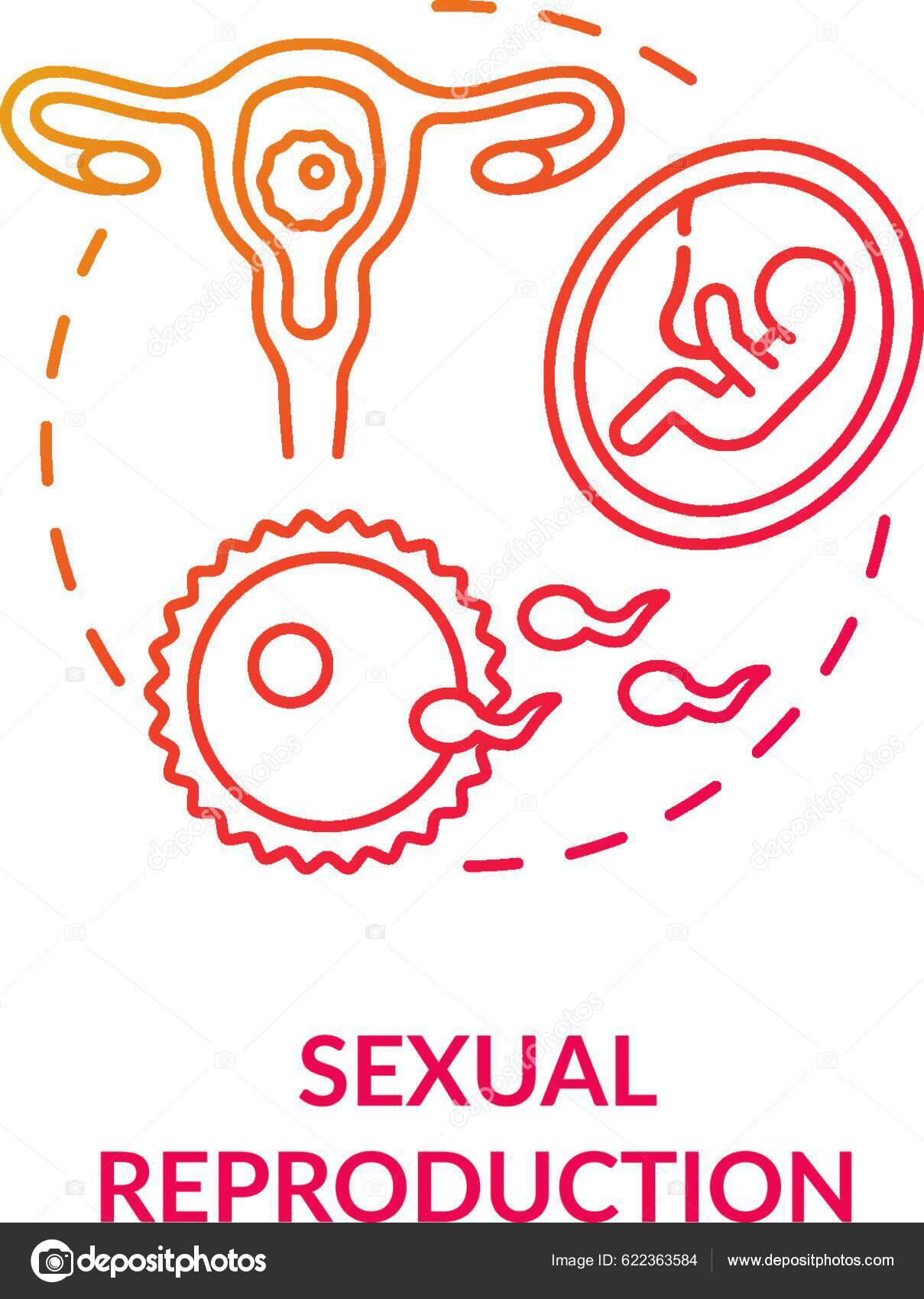 Sexual Reproduction Concept Icon Stock Vector by ©YAY_Images 622363584