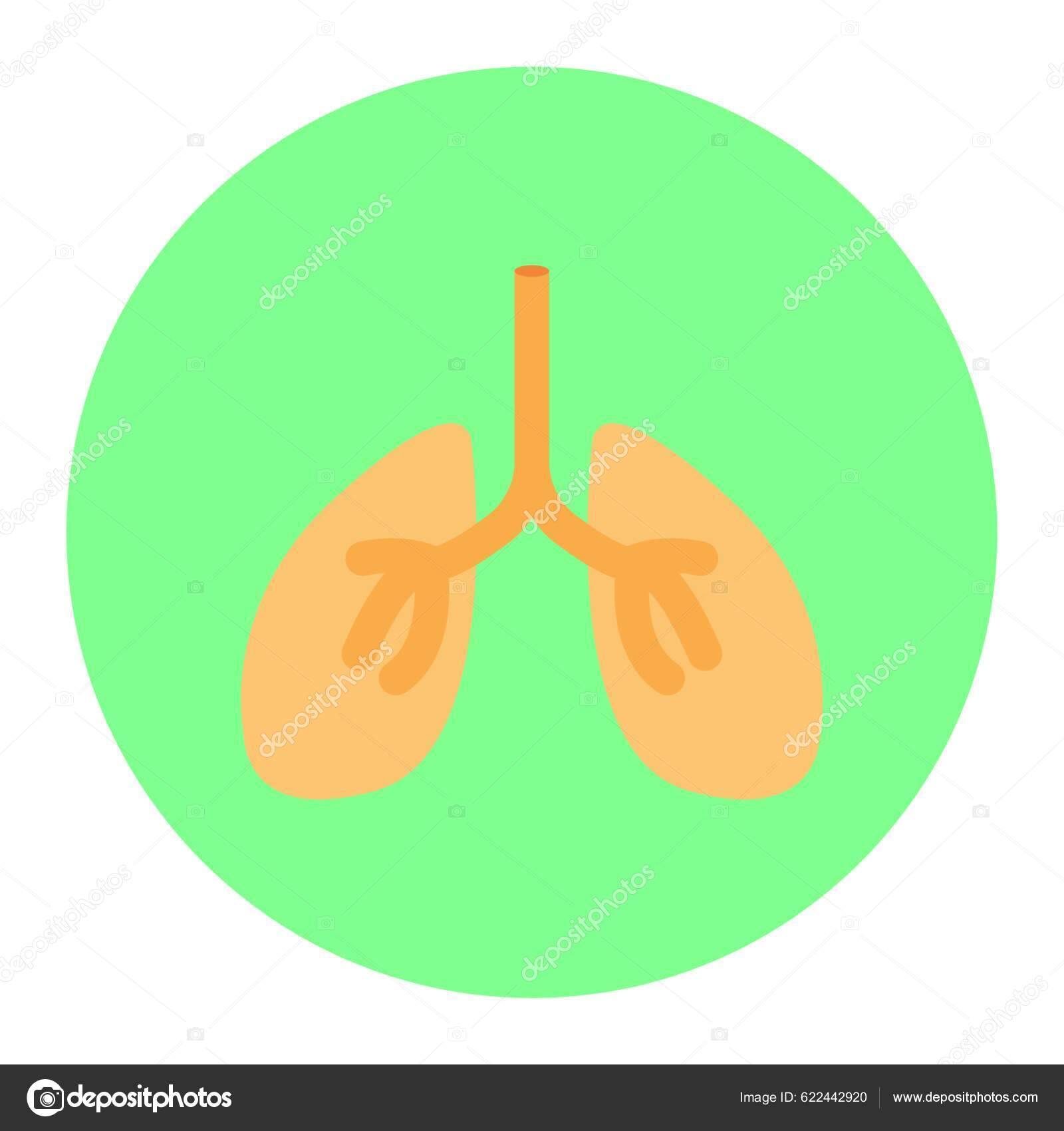 Breath Icon Vector Illustration Stock Vector by ©YAY_Images 622442920