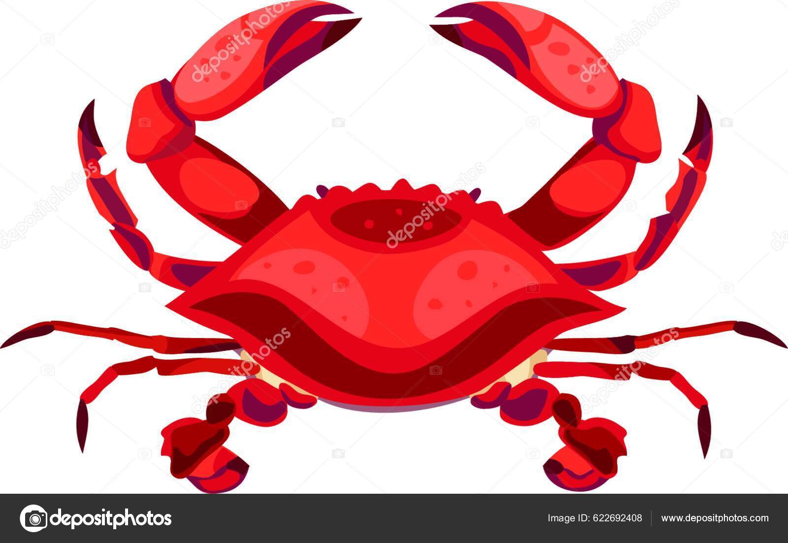 Red Crab Simple Vector Illustration Stock Vector by ©YAY_Images 622692408