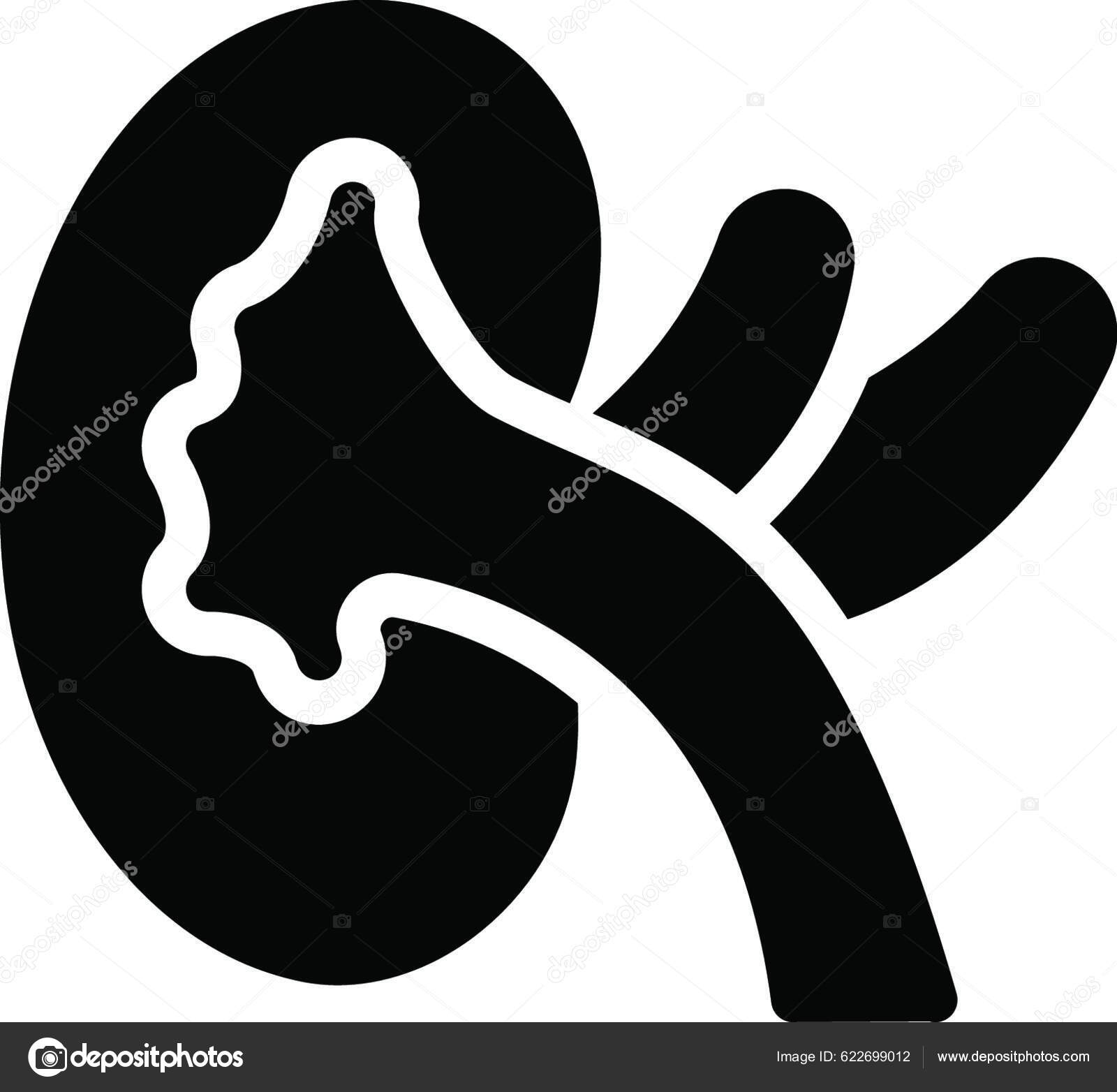 Kidney Isolated White Background Stock Vector by ©YAY_Images 622699012