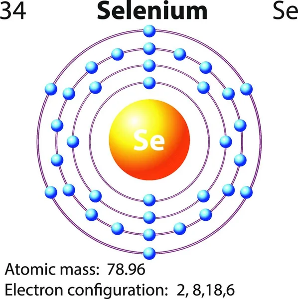 Symbol Electron Diagram Selenium Stock Vector by ©YAY_Images 622782852