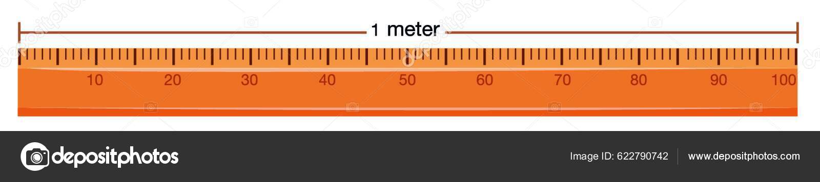 Wooden Ruler Measurement Meter Stock Vector by ©YAY_Images 622790742