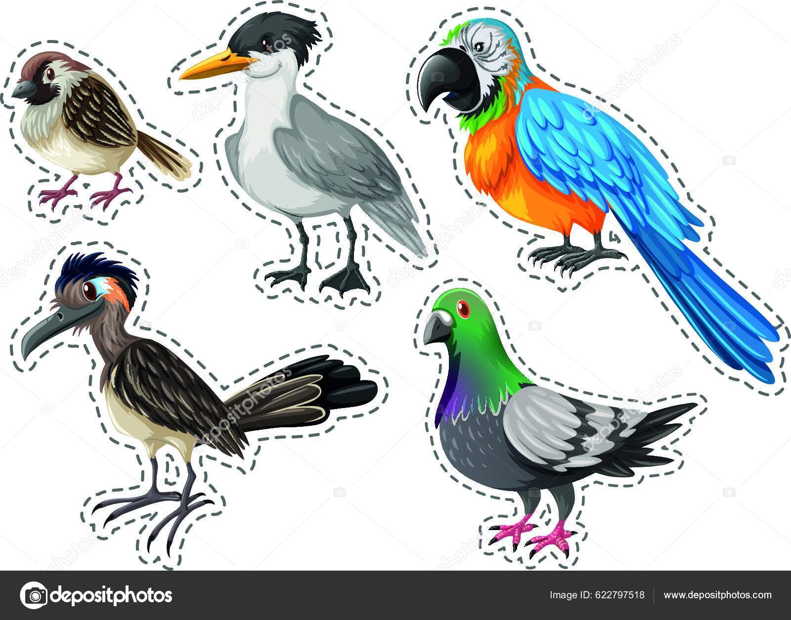 Different Types Wild Birds Stock Vector By ©yayimages 622797518