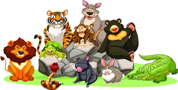 Different Types Wild Animals Vector Illustration Simple Design Stock ...