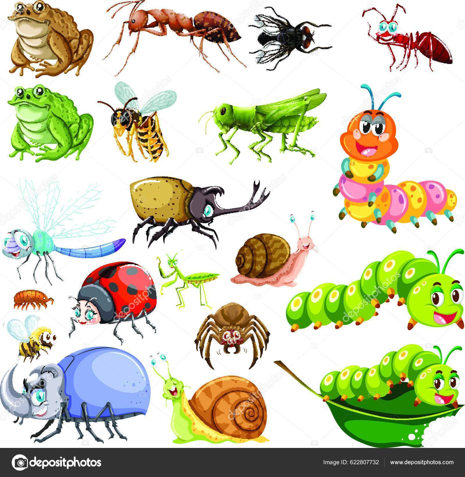 Diferentes Tipos Insectos vector, gráfico vectorial © YAY_Images imagen ...